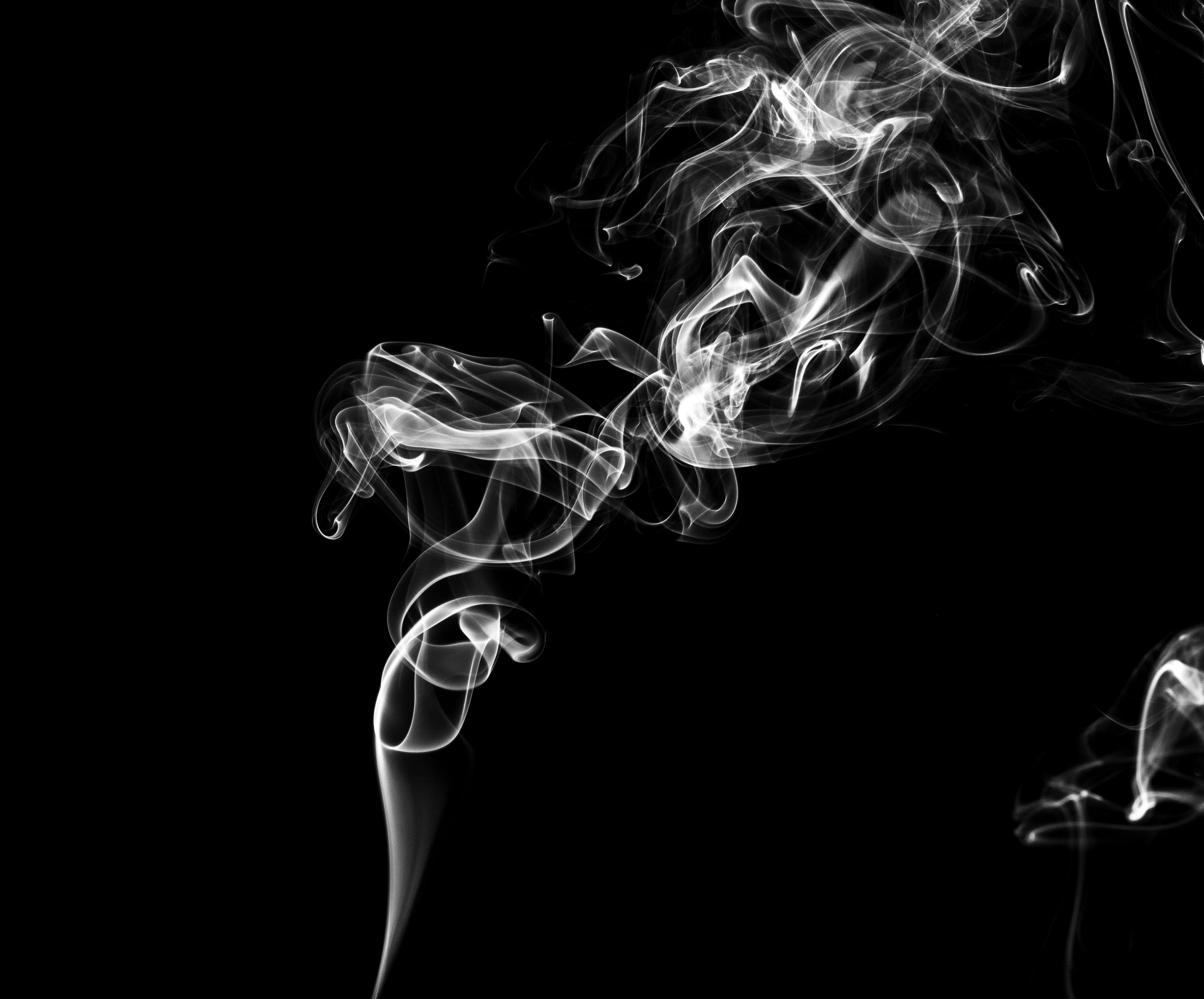 Ryan Elson - Fotografía