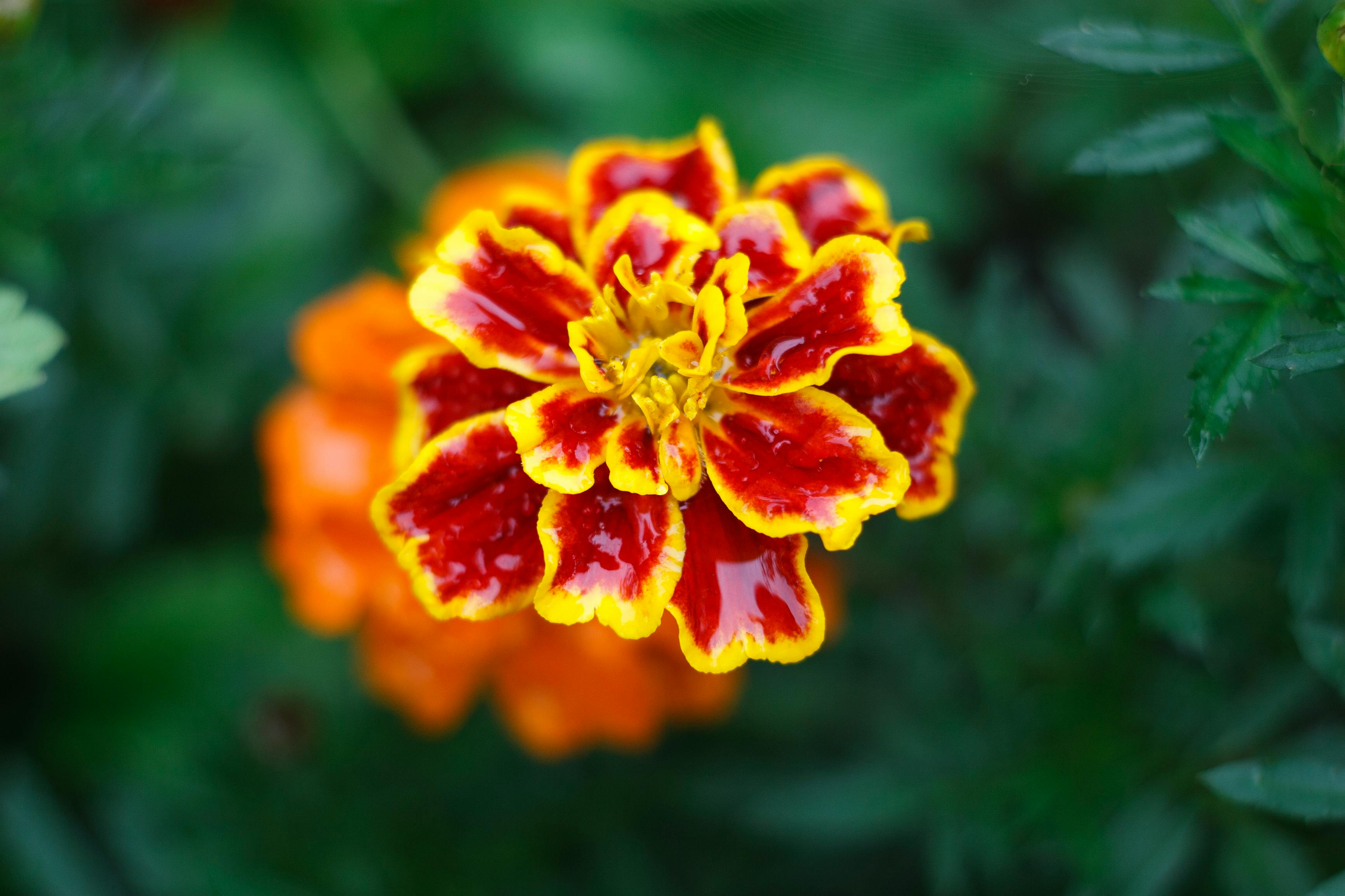 Create The Life You Want To Live Natural Photos, Download The BEST Free ...