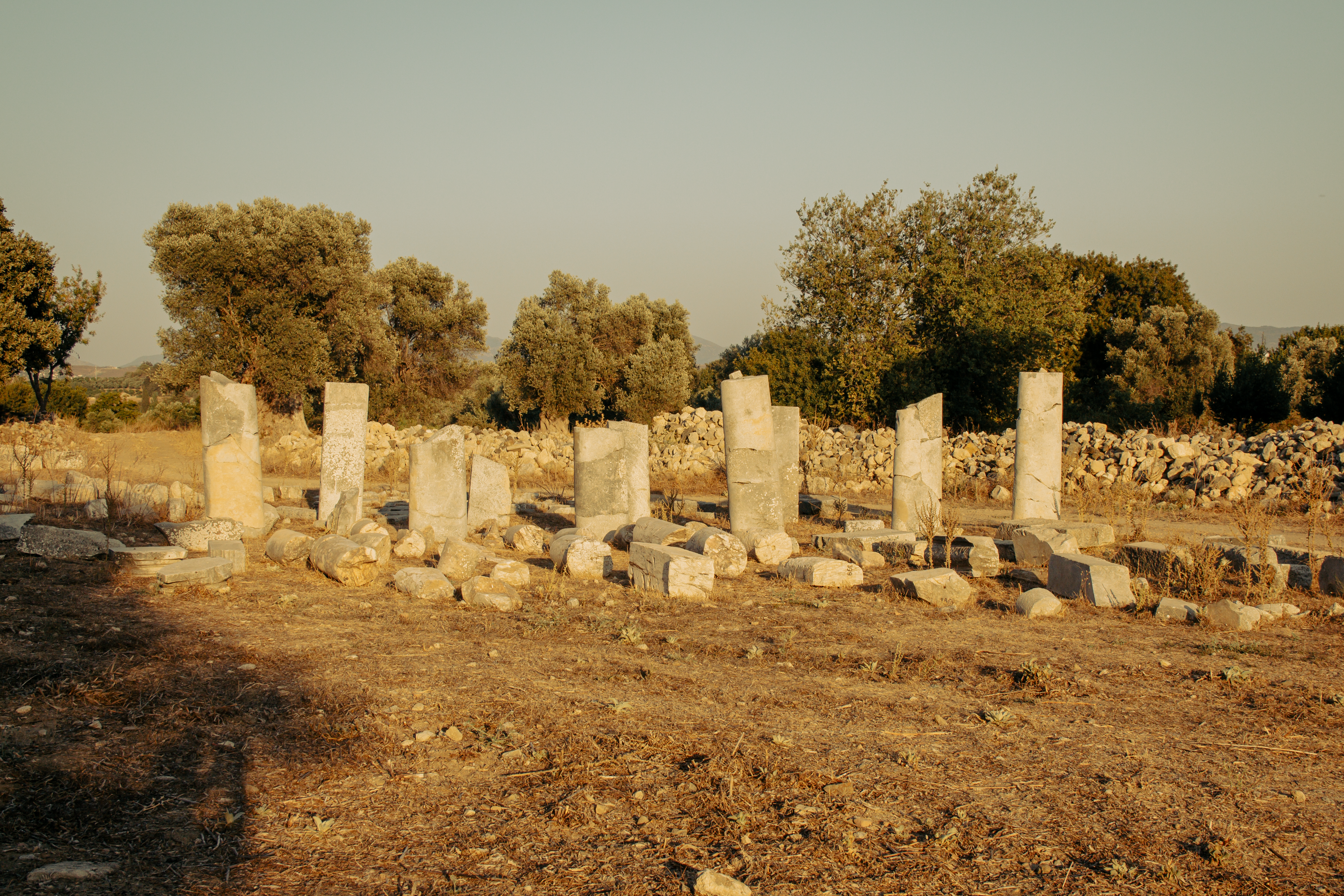 Ancient Ruins with Stone Columns in Archaeological Site · Free Stock Photo