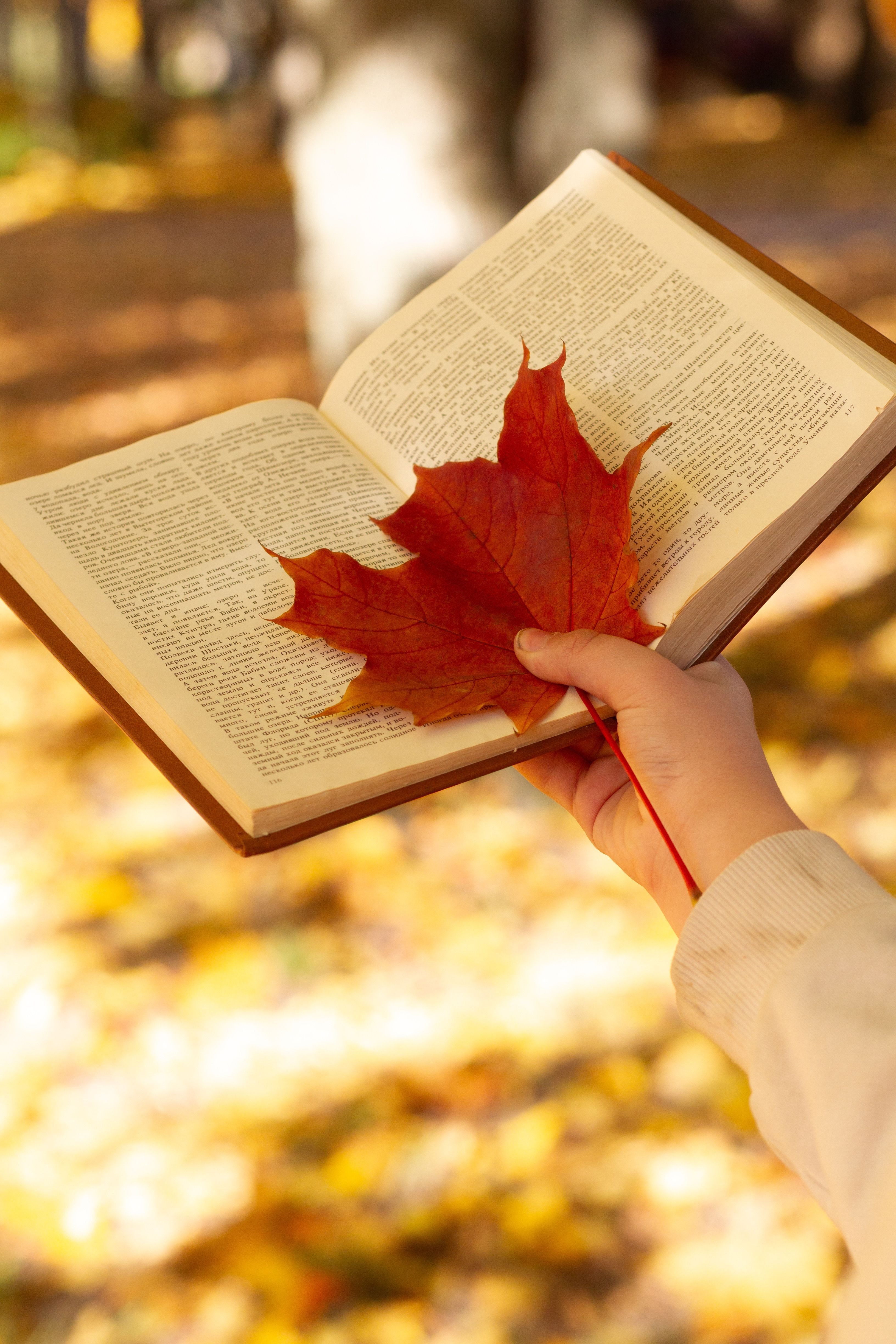 Autumn Leaf in Open Book Held Outdoors · Free Stock Photo
