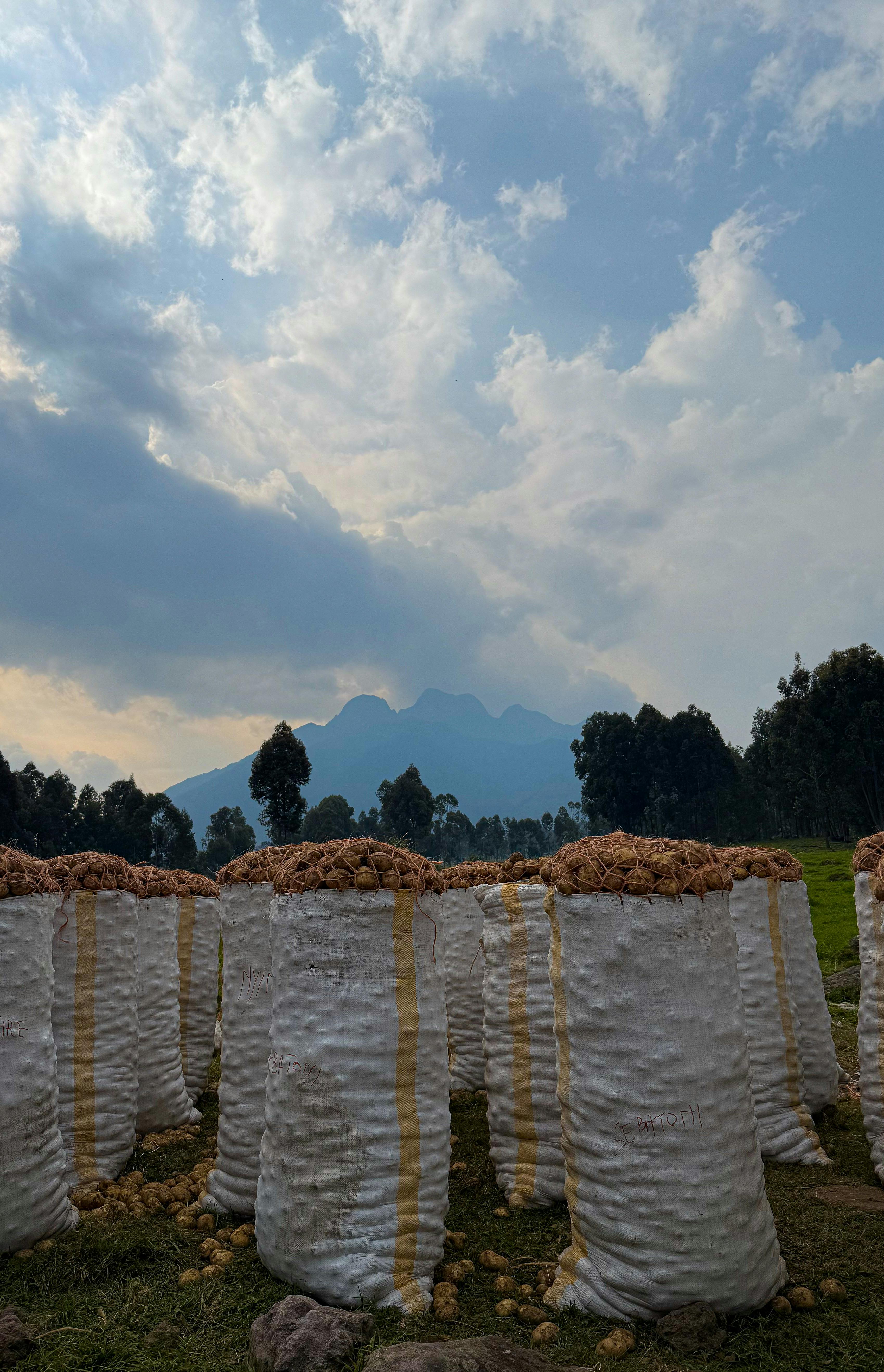 Virunga Volcanoes Photos, Download The BEST Free Virunga Volcanoes ...