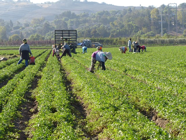 State of California Workers Compensation Class Codes Guide