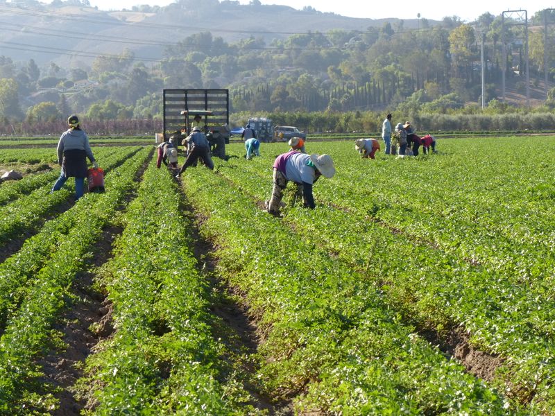 State of California Workers Compensation Class Codes Guide