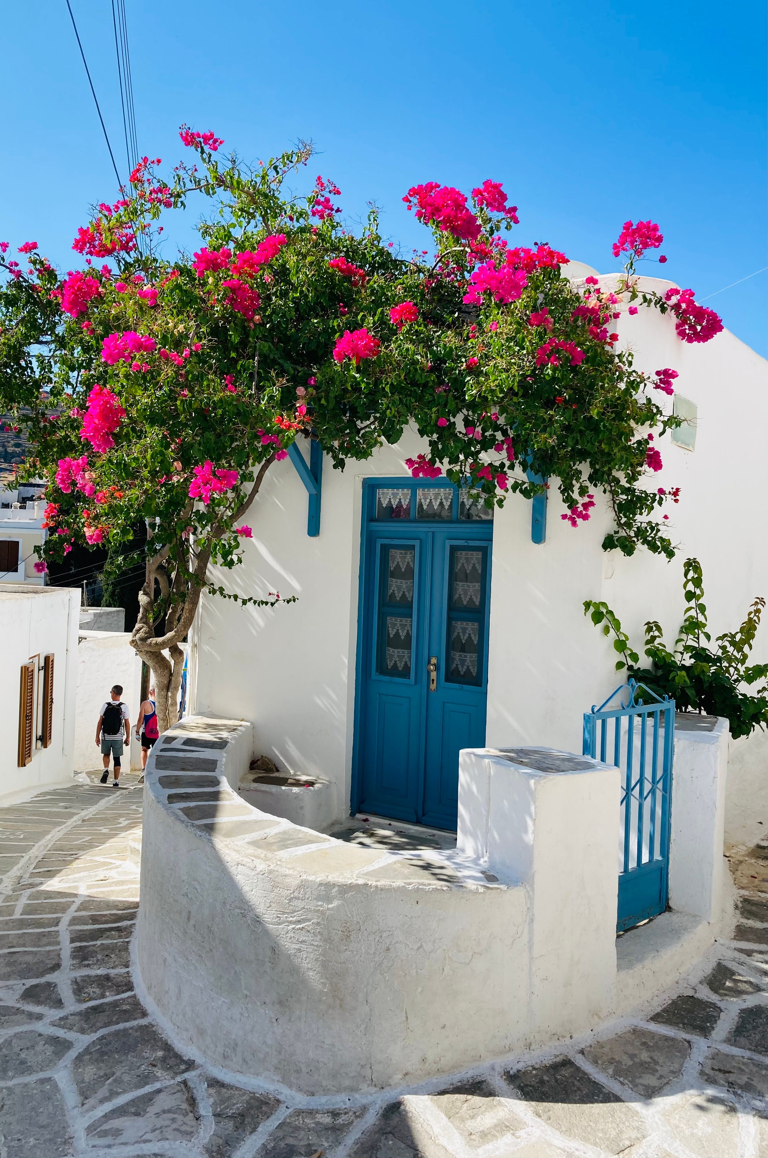 Encantadora Casa Encalada Con Buganvillas · Foto de stock gratuita