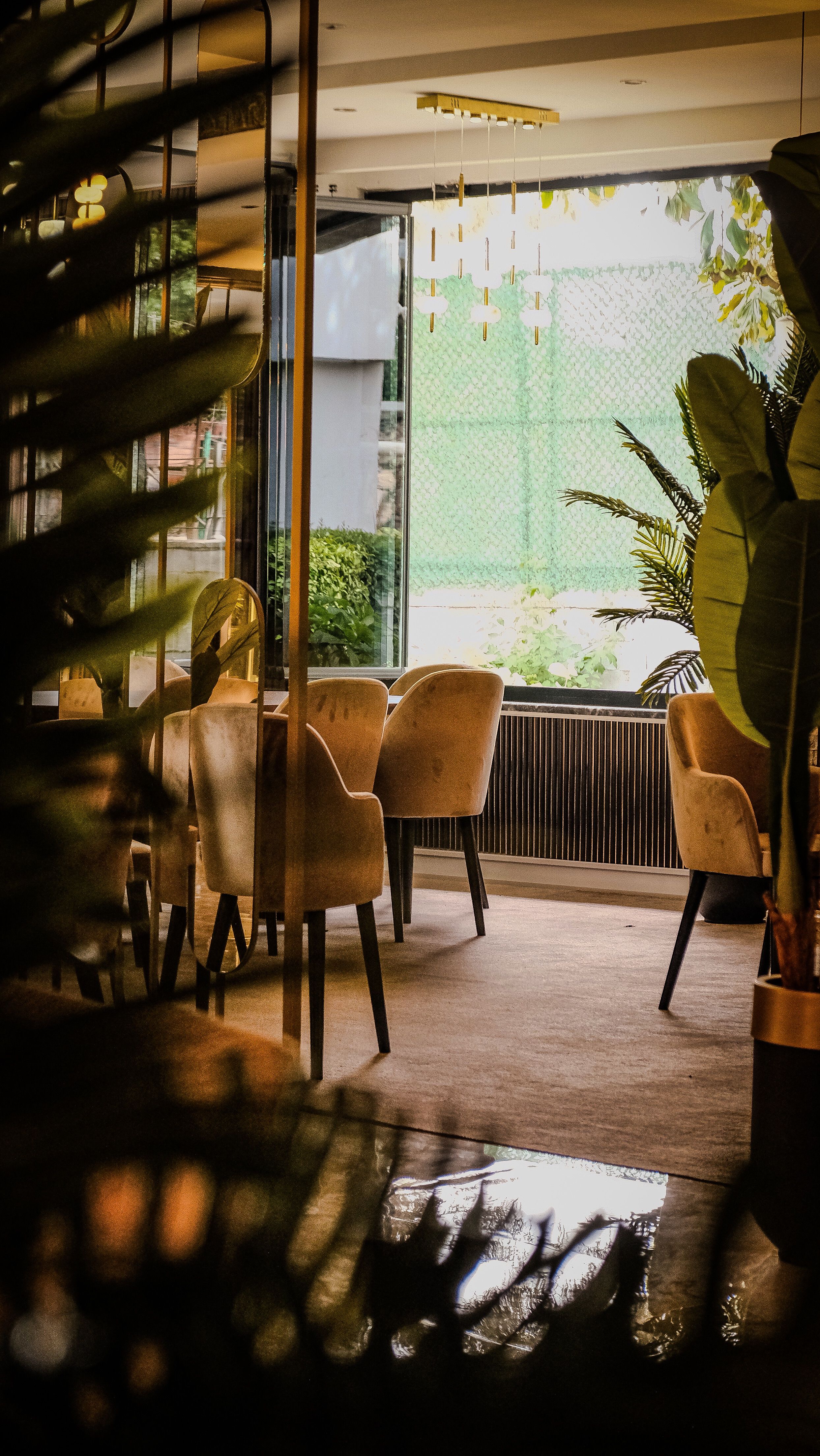 Rich Ambience Photos, Download The BEST Free Rich Ambience Stock Photos ...