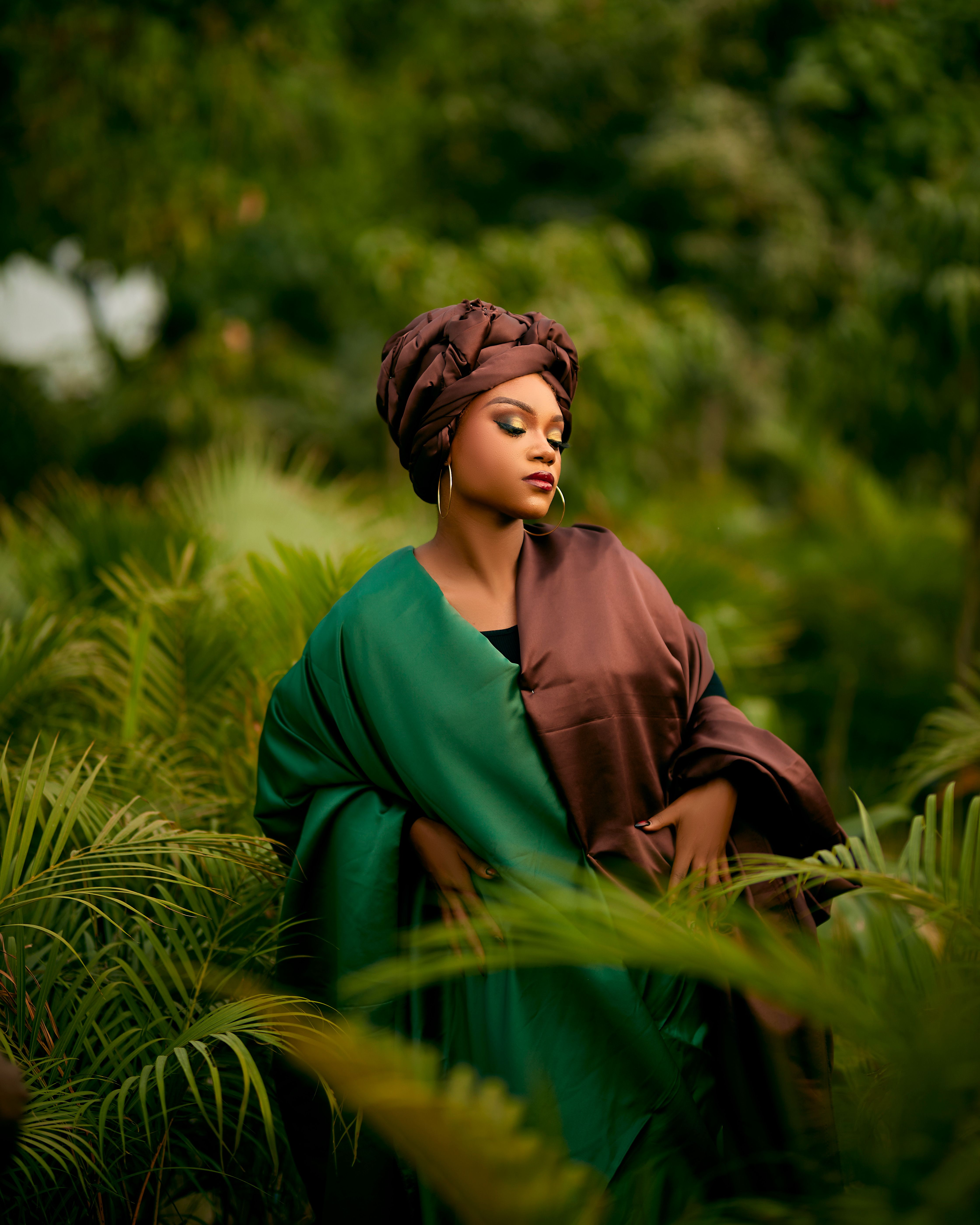 African Forest Photos, Download The BEST Free African Forest Stock ...