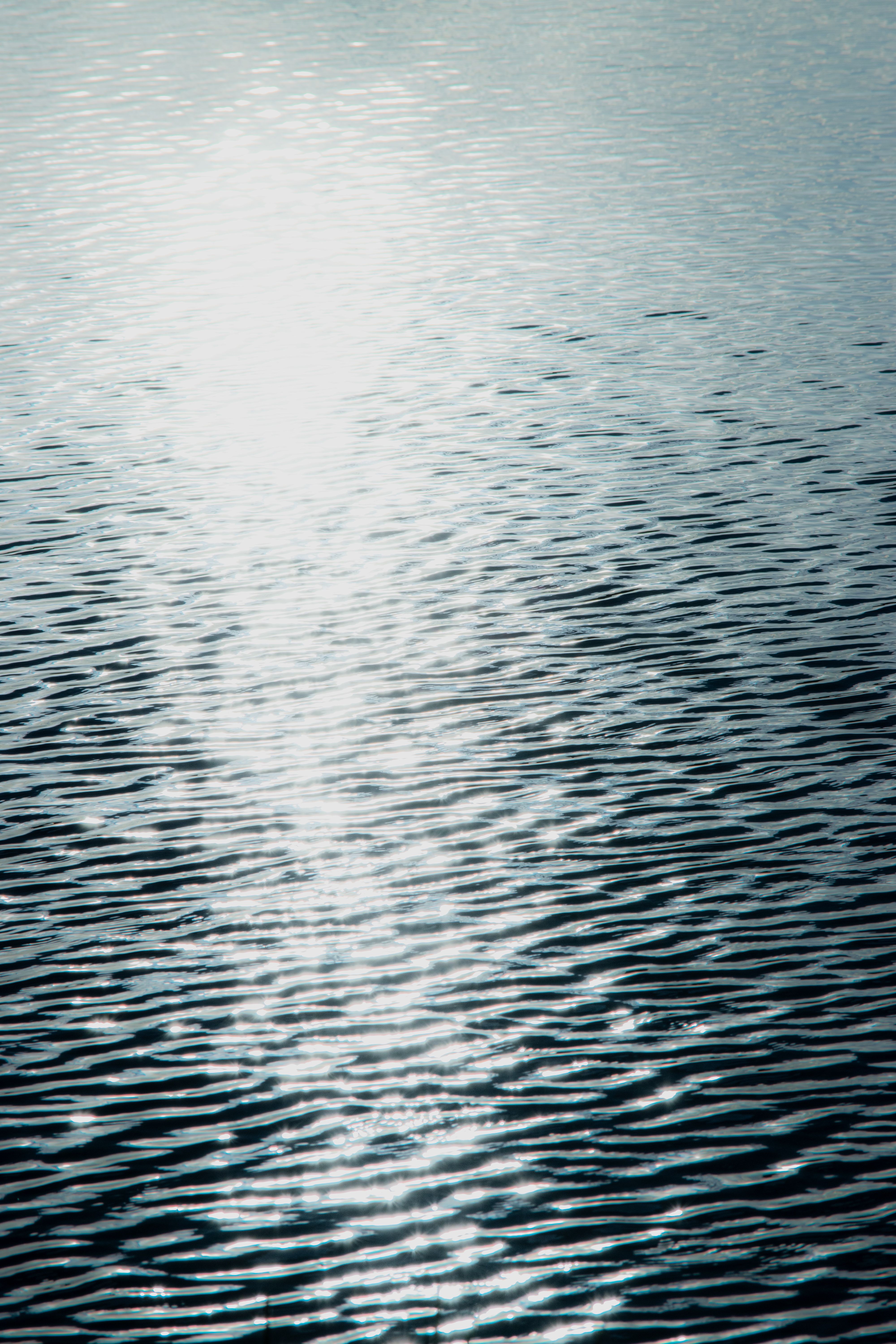 Sunlight Reflections on Rippling Water Surface · Free Stock Photo