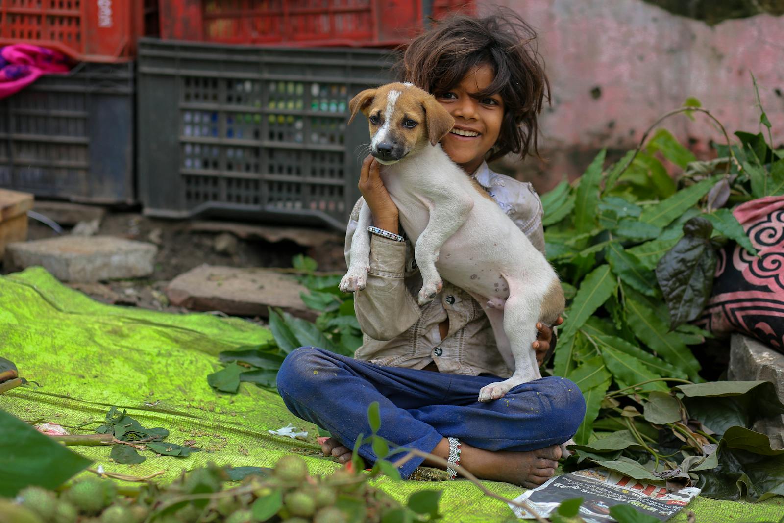 Happy Friday Animal Pics Photos, Download The BEST Free Happy Friday ...