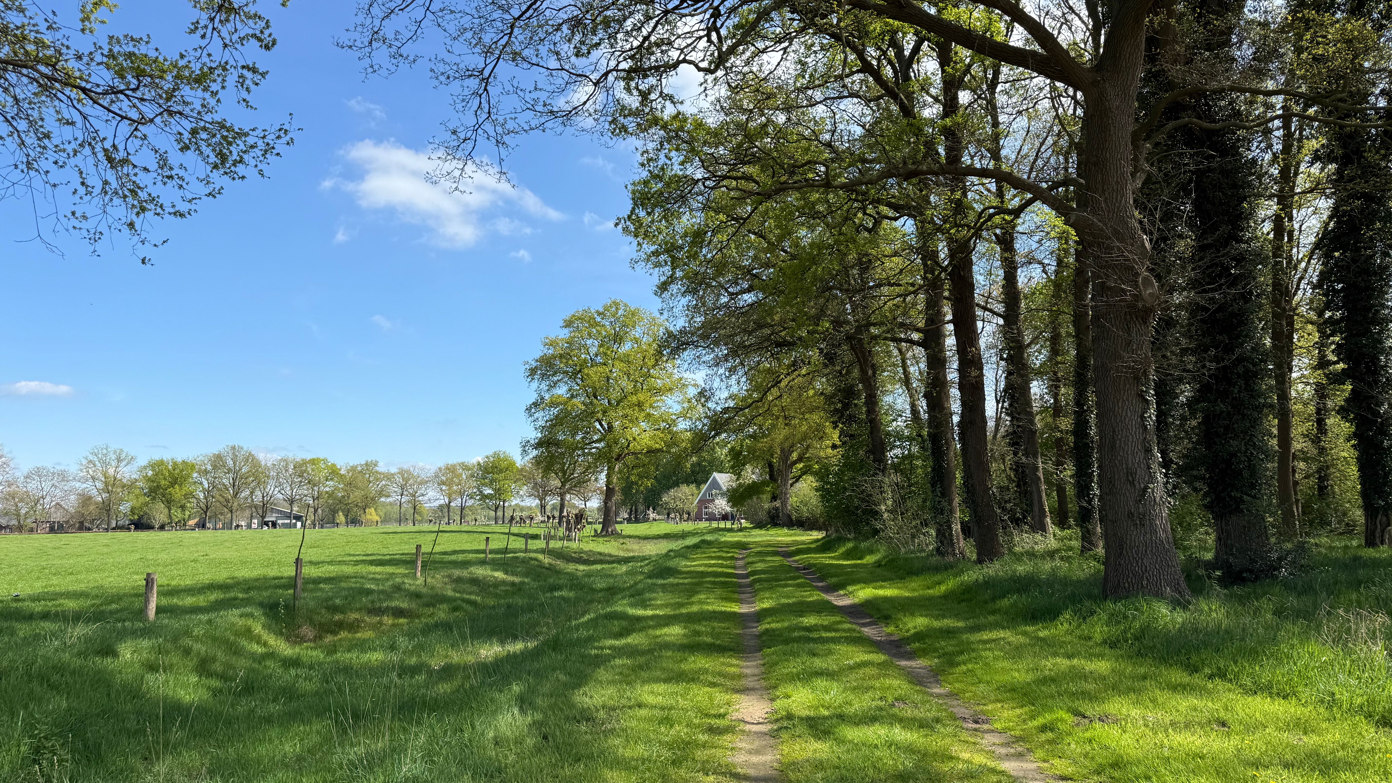 Serene Spring Landscape with Country Pathway · Free Stock Photo