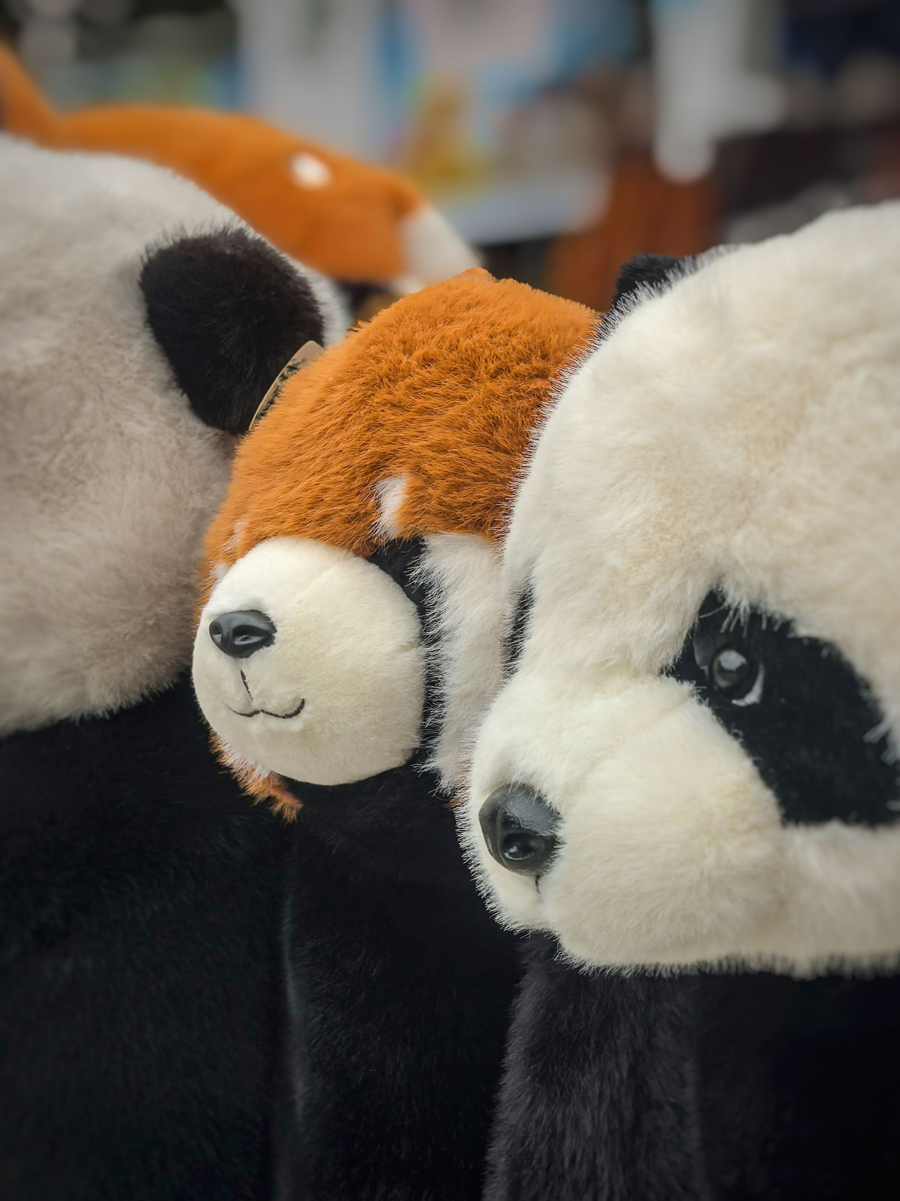 Cute Stuffed Animals Photos, Download The BEST Free Cute Stuffed ...