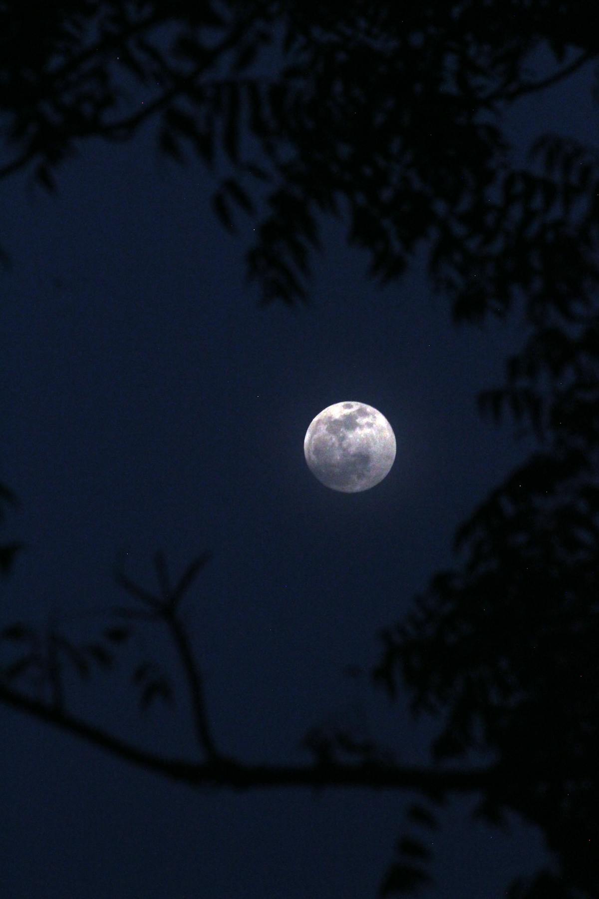 4k Moon Photos, Download The BEST Free 4k Moon Stock Photos & HD Images