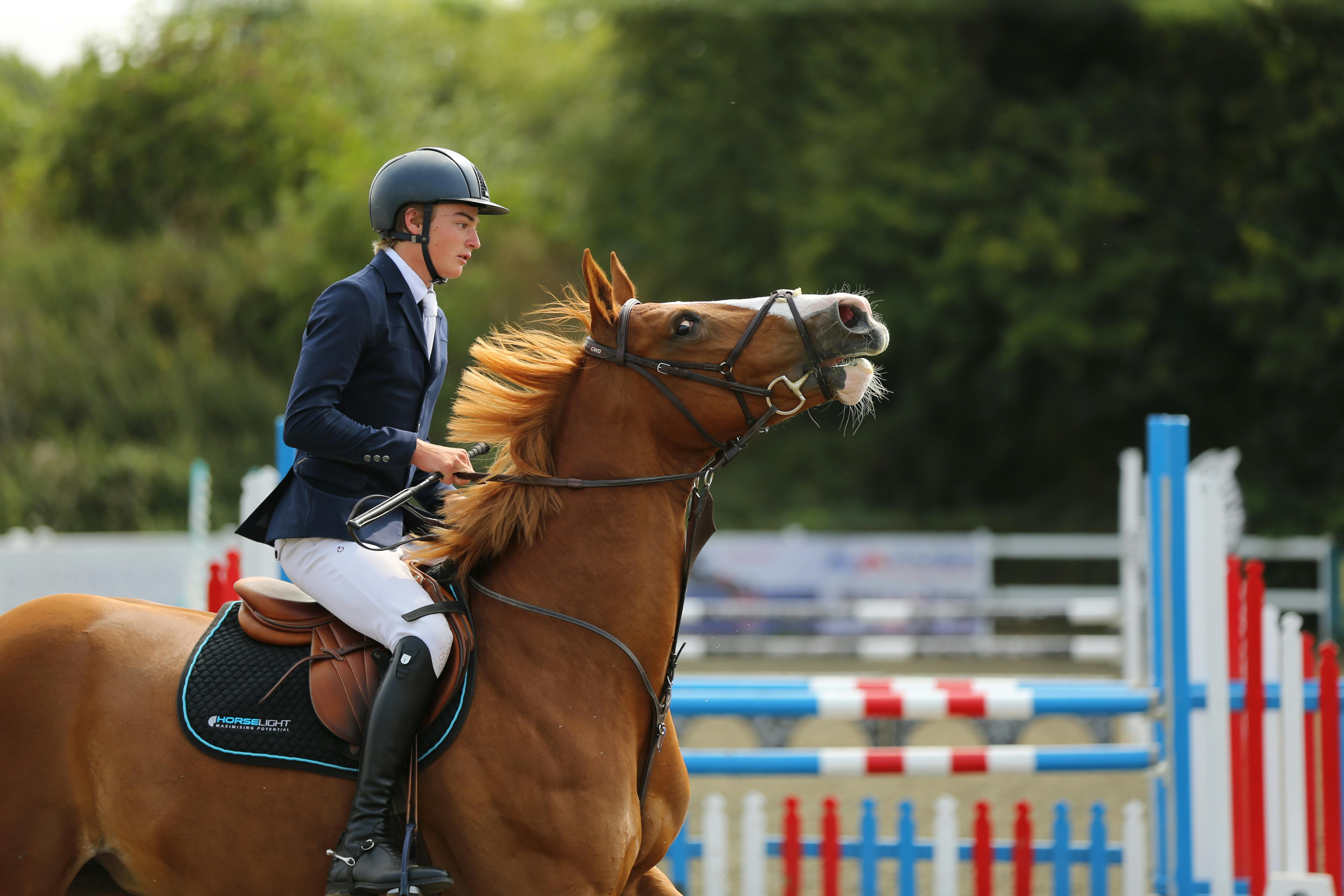 Person Riding A Horse · Free Stock Photo