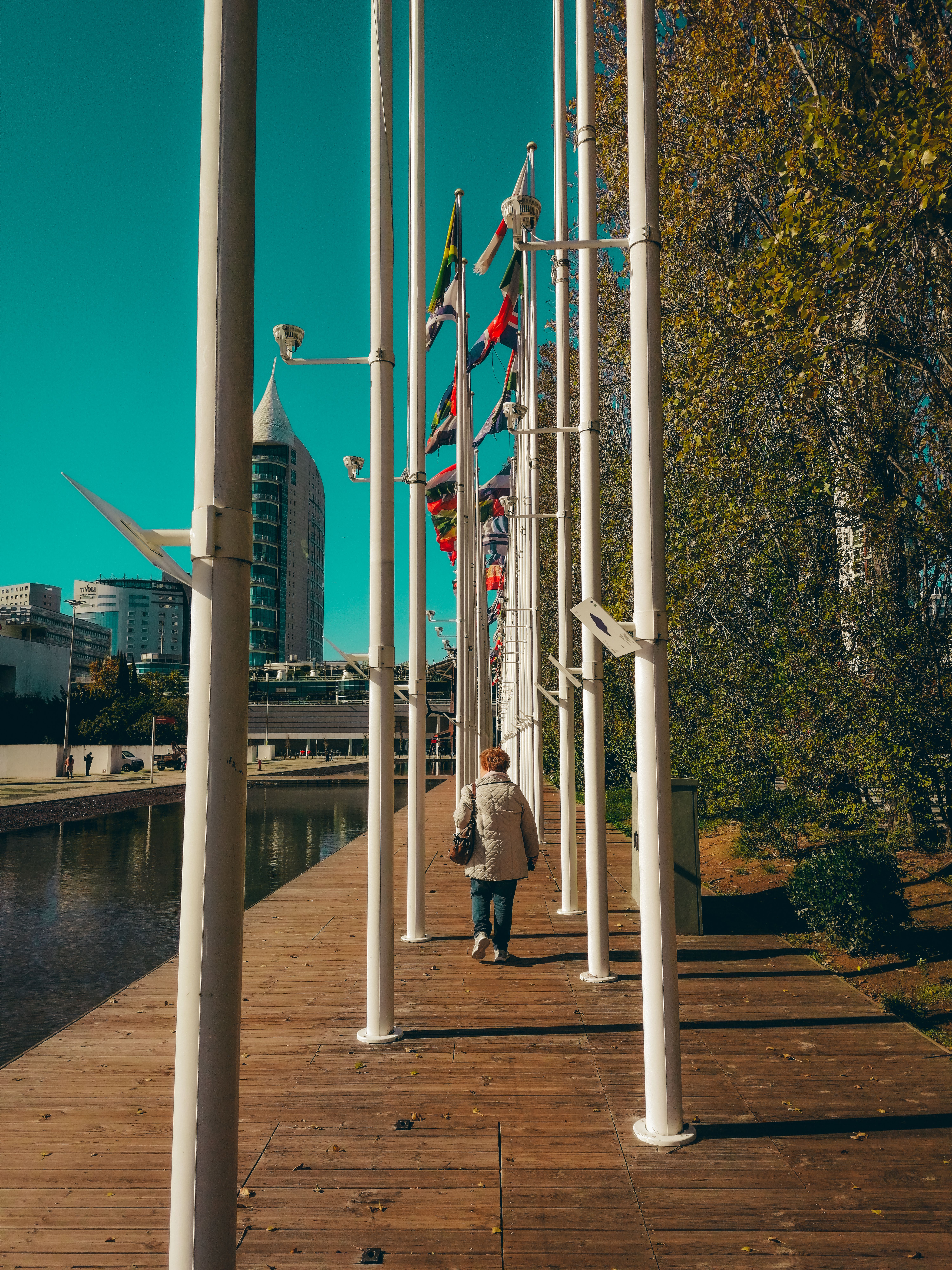 Person Walking on Boardwalk · Free Stock Photo