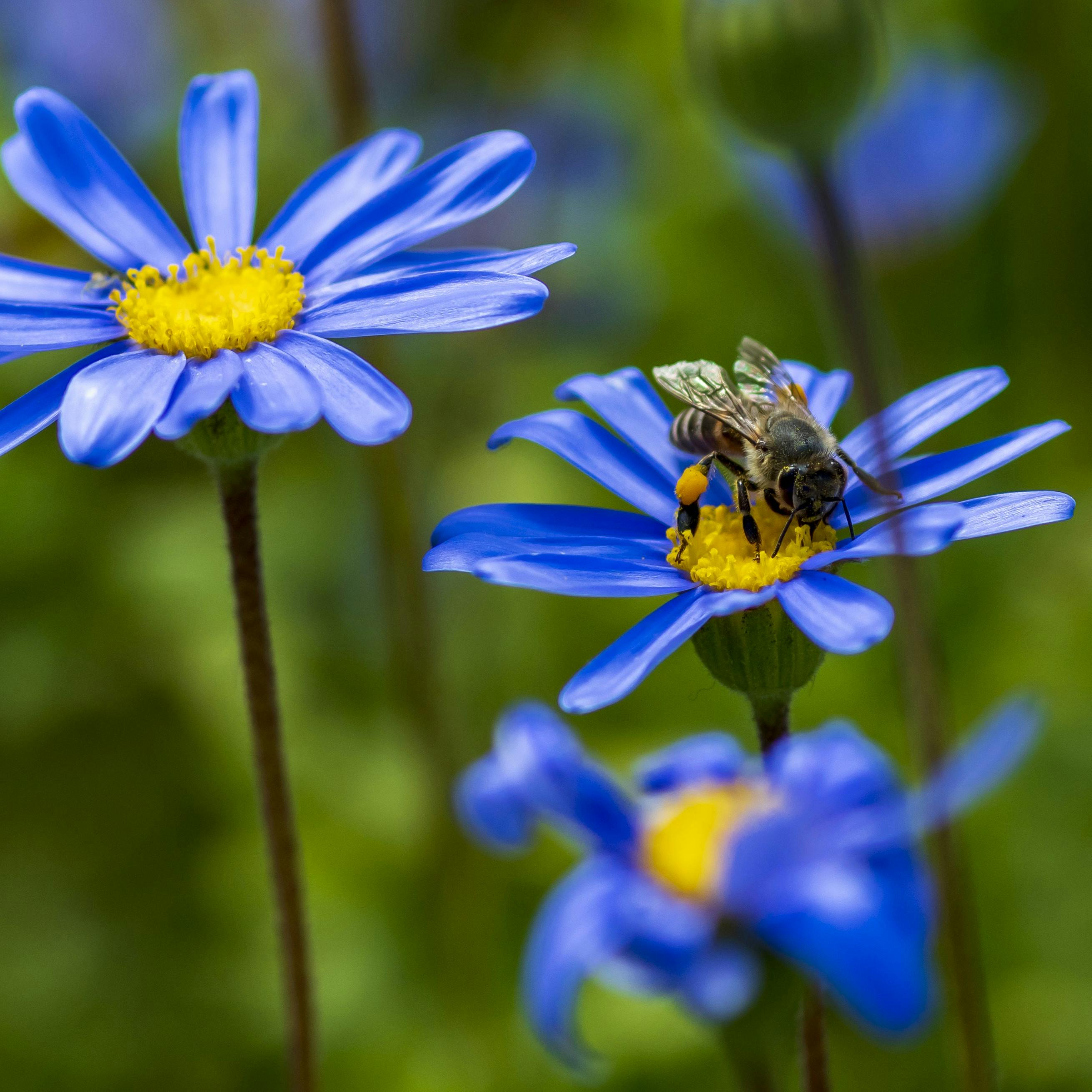 Werner Matthysen Matthysen - Photography