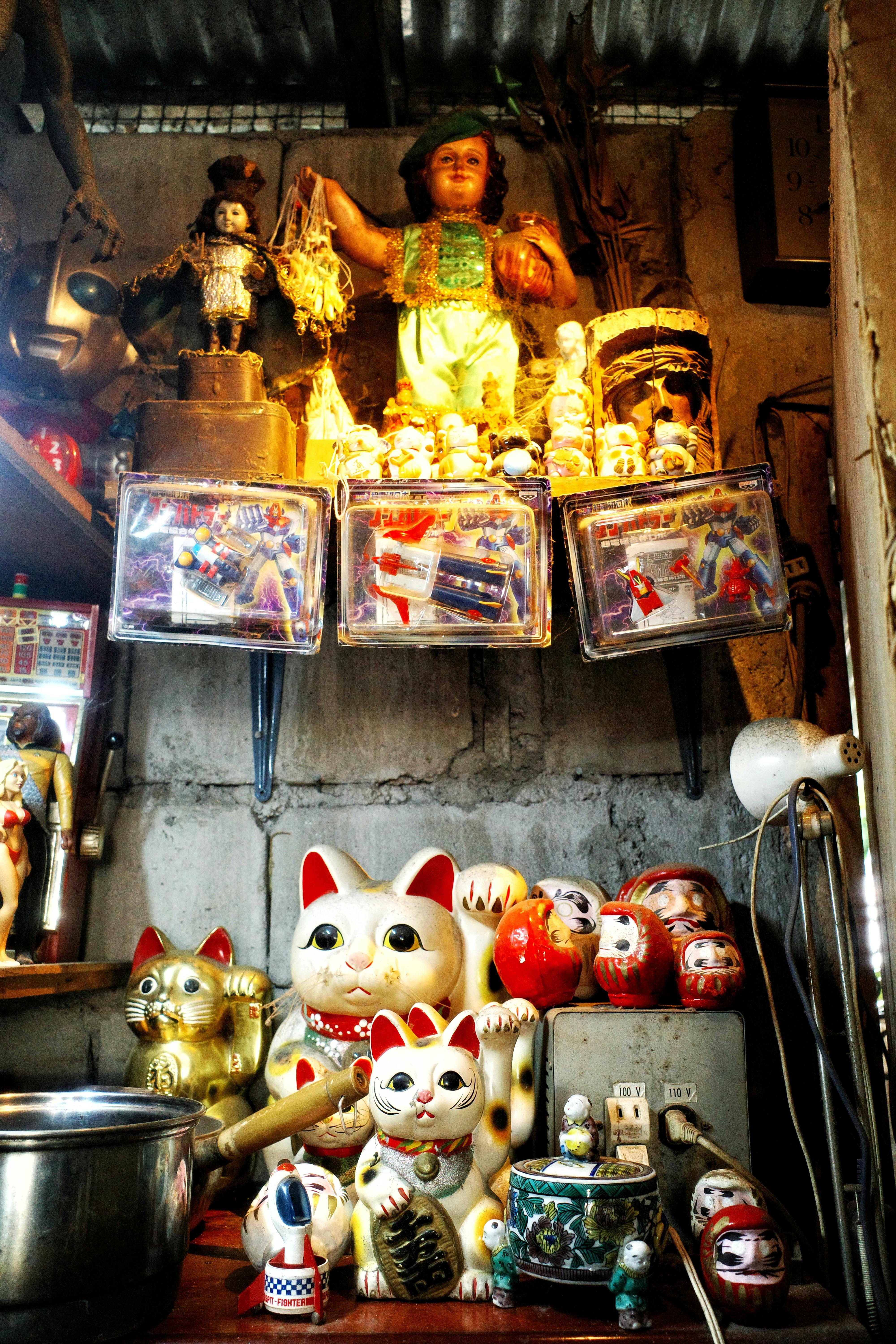 226+ Fotos y Imágenes de Anu+neko Gratis · Banco de Fotos Gratis