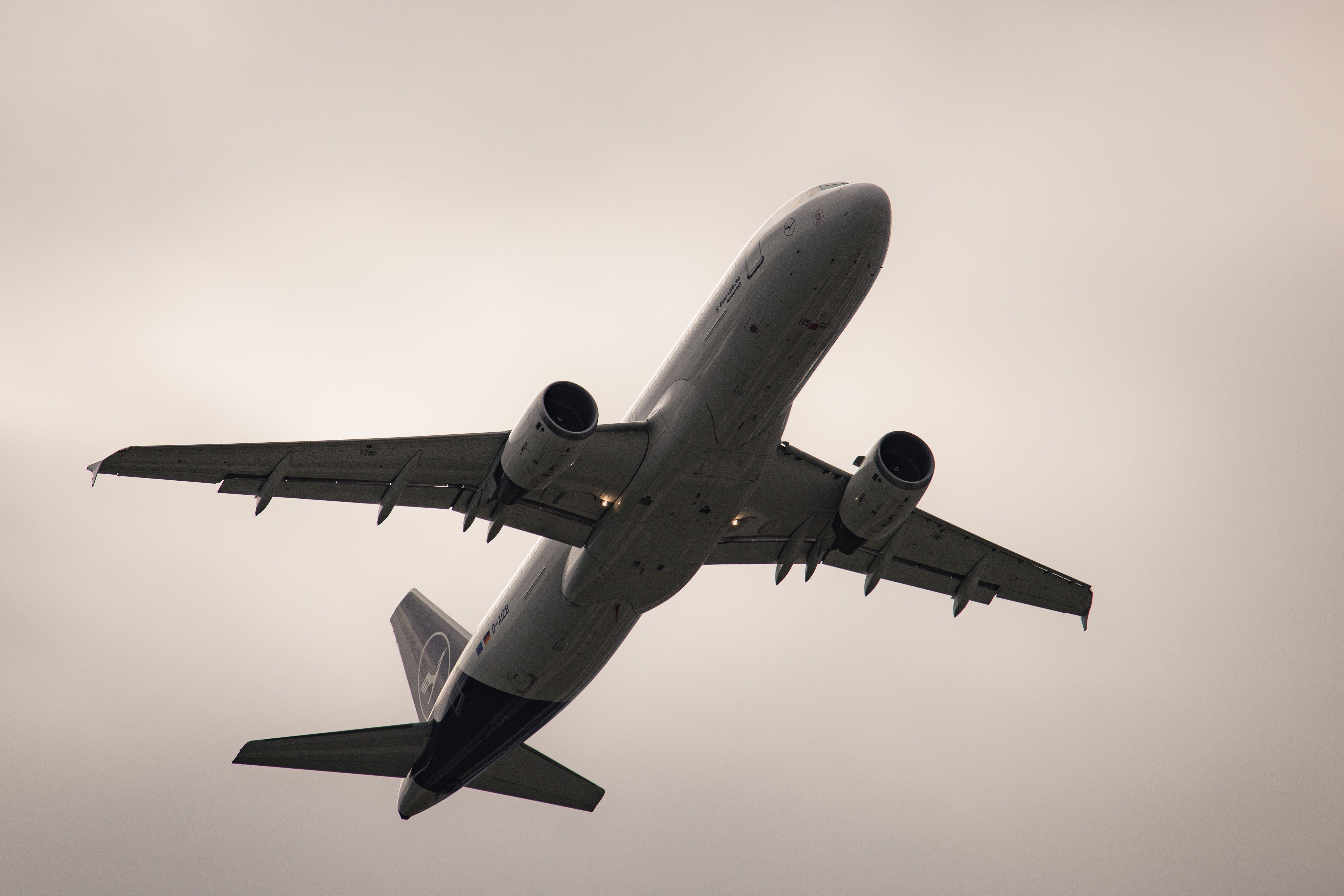 10.000+ Airplane Style Bilder und Fotos · Kostenlos Downloaden · Pexels ...