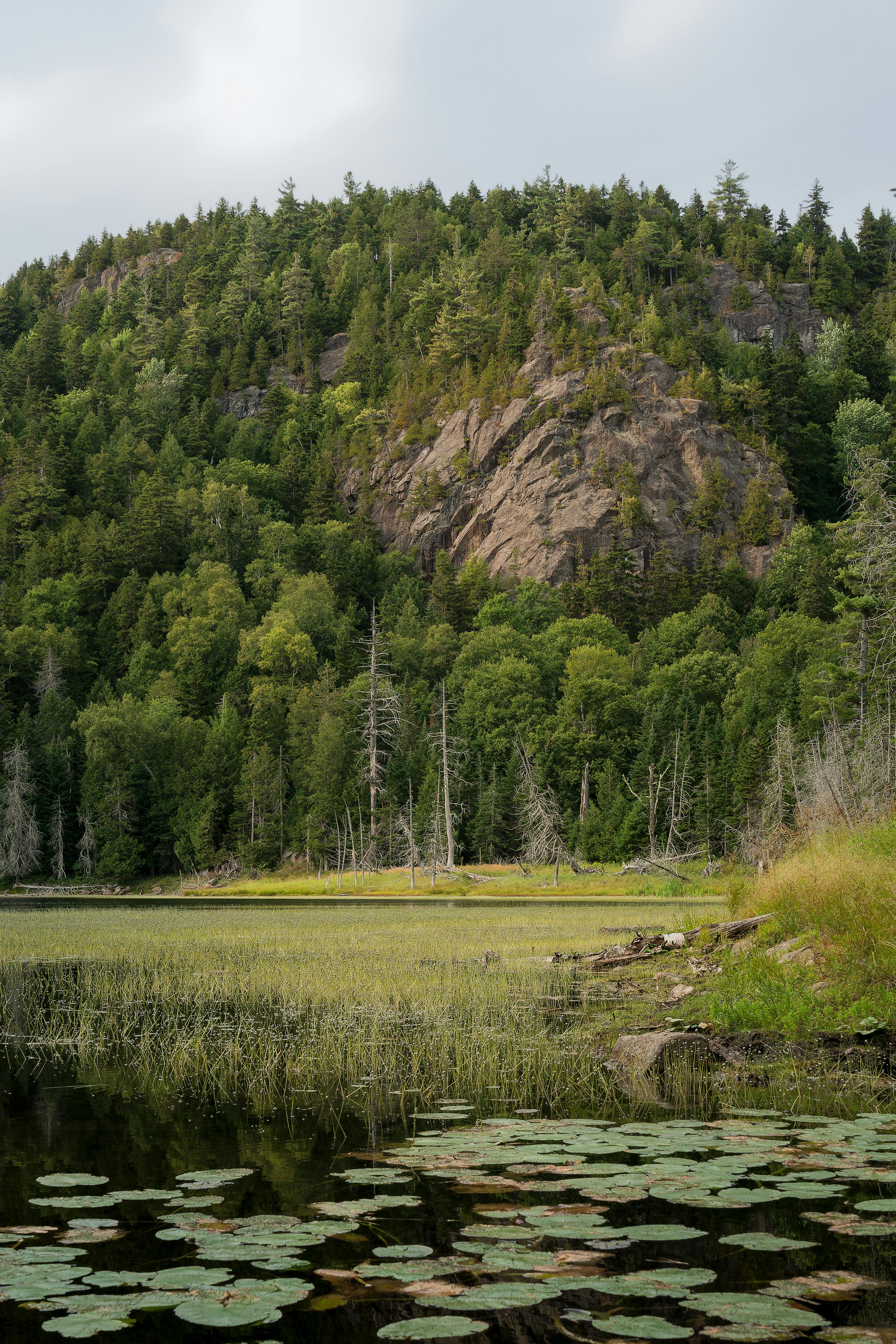 Bokep Adk Pasrah Diewe Photos, Download The BEST Free Bokep Adk Pasrah Diewe Stock Photos & HD ...