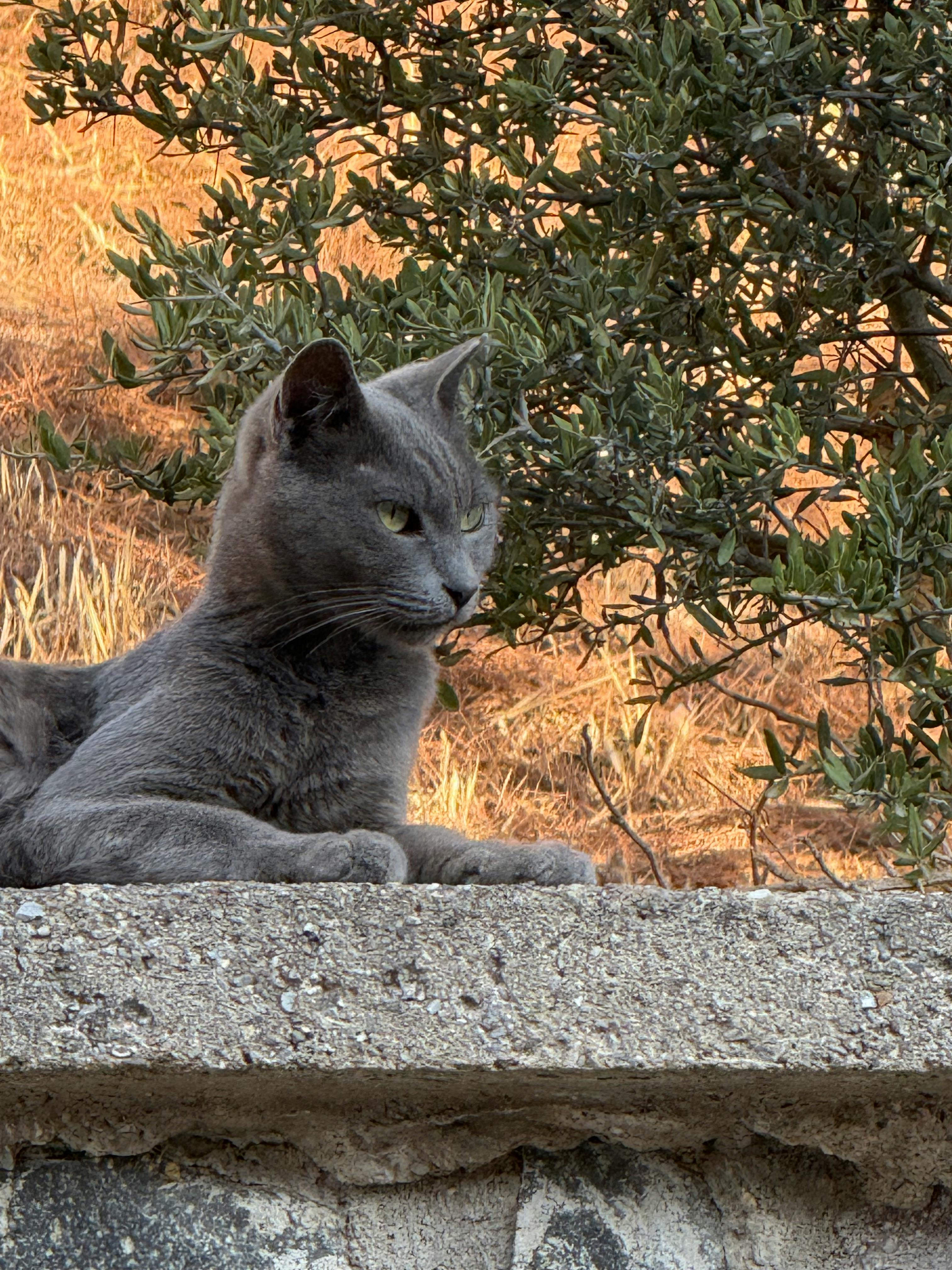 80+ parasta kuvaa aiheesta Pimppi · Täysin ilmainen lataus · Pexels ...