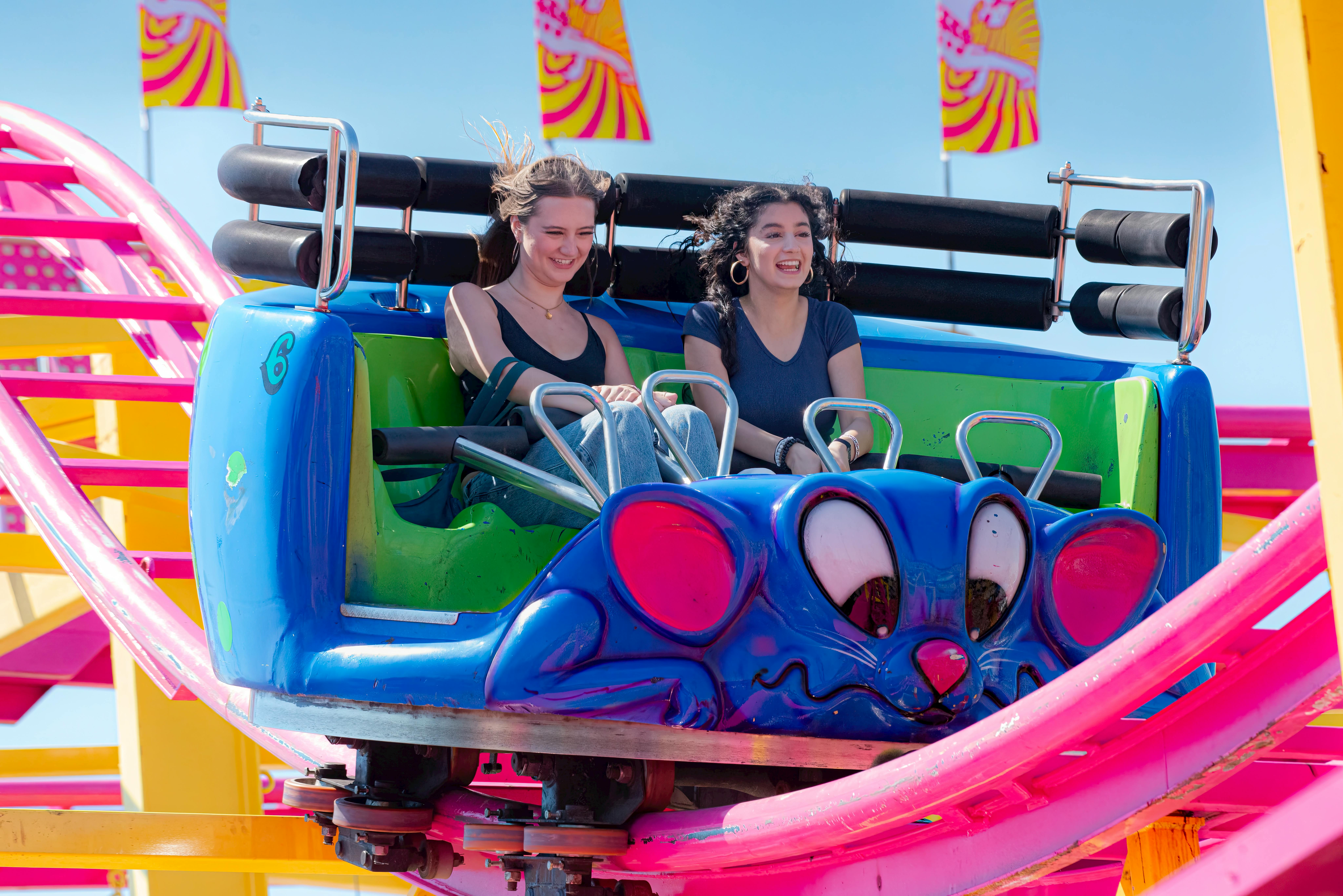Exciting Roller Coaster Ride with Friends · Free Stock Photo