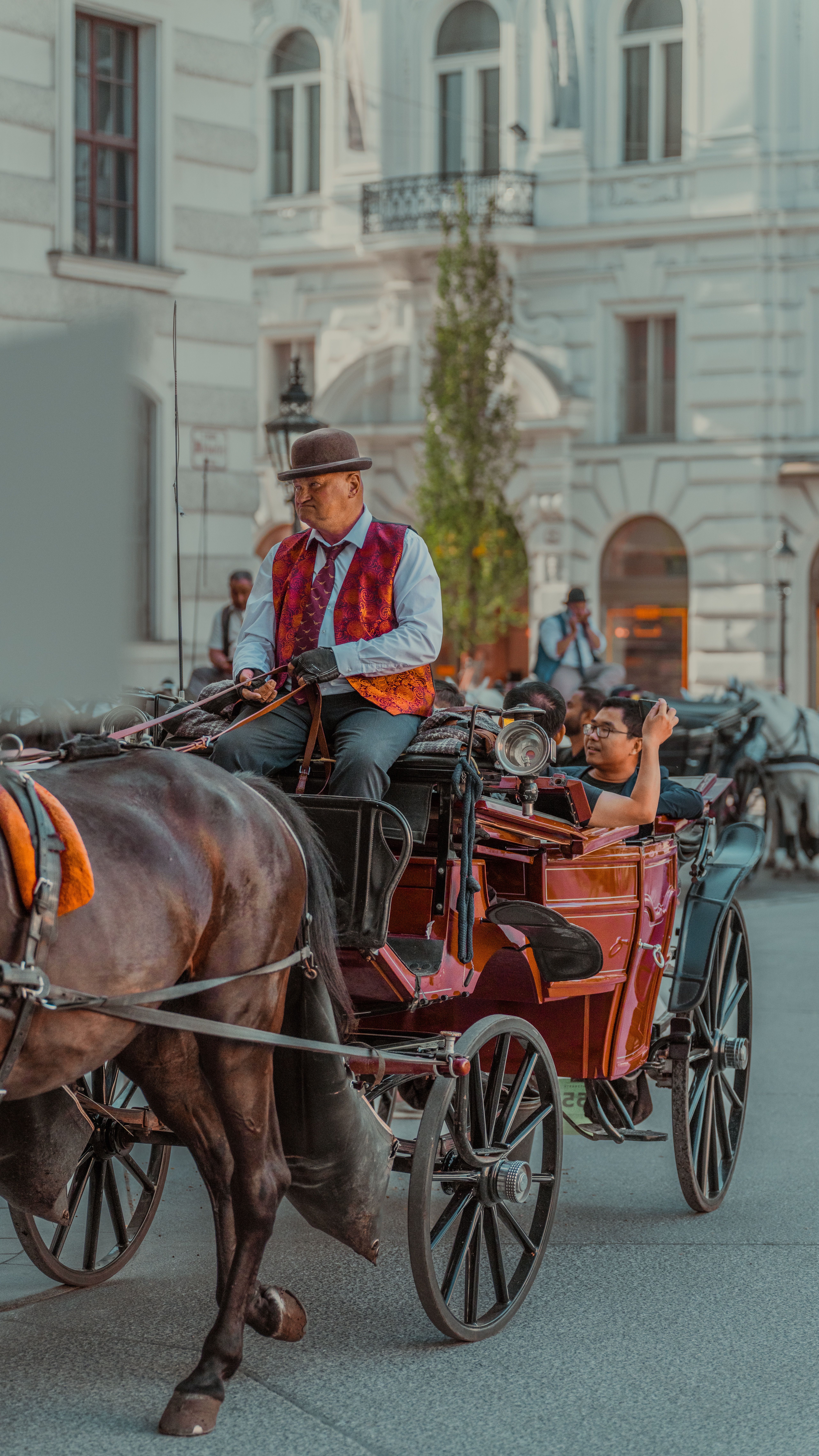 Charming Horse-Drawn Carriage Ride in Historic City · Free Stock Photo