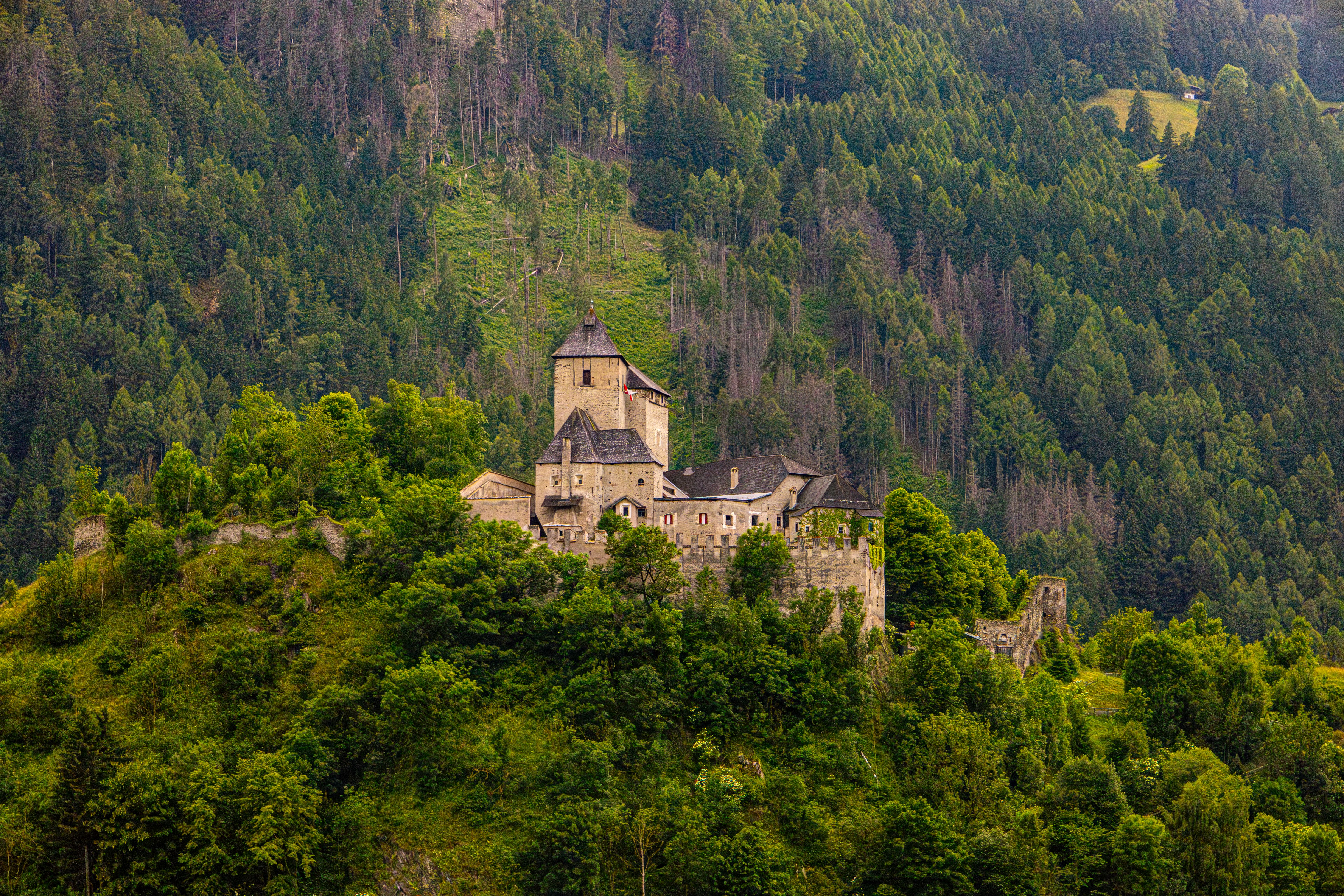 Medieval Castle in Lush Austrian Forest · Free Stock Photo