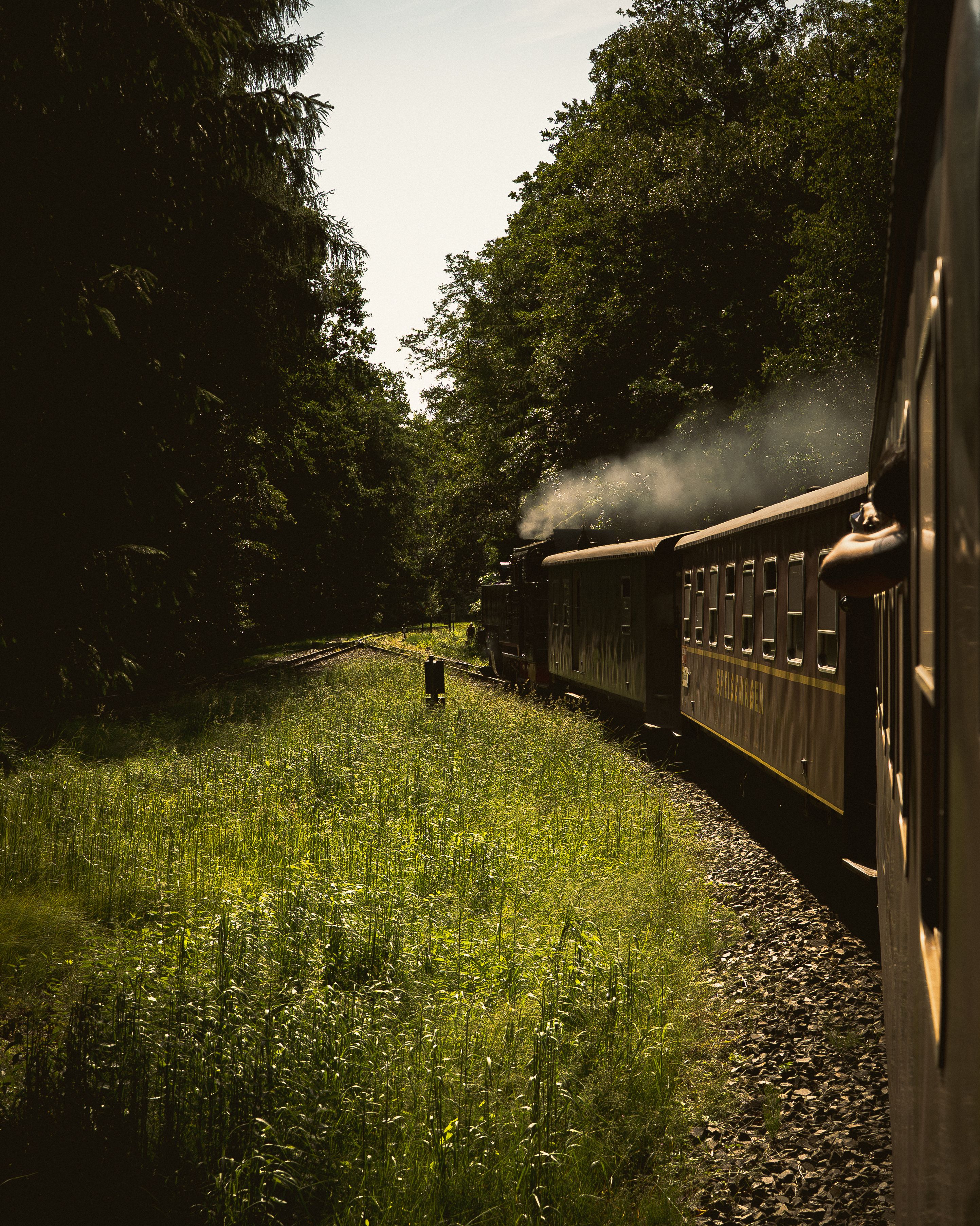 Train on Railway Riding Through a Forest · Free Stock Photo