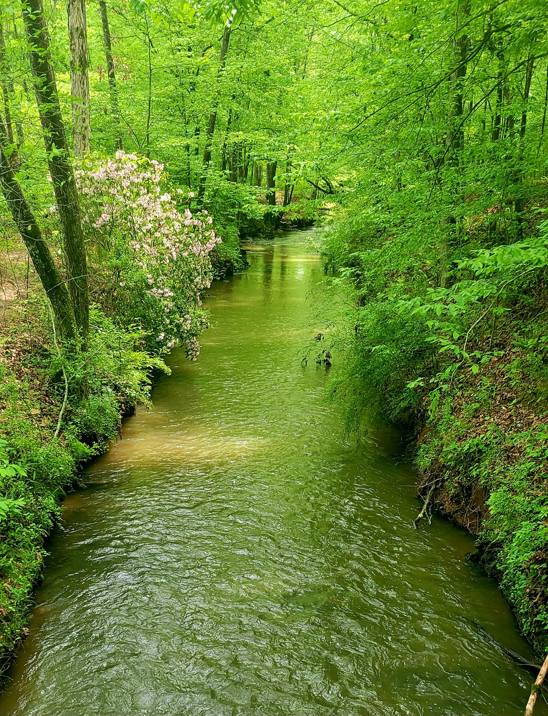 Creek Photos, Download The BEST Free Creek Stock Photos & HD Images