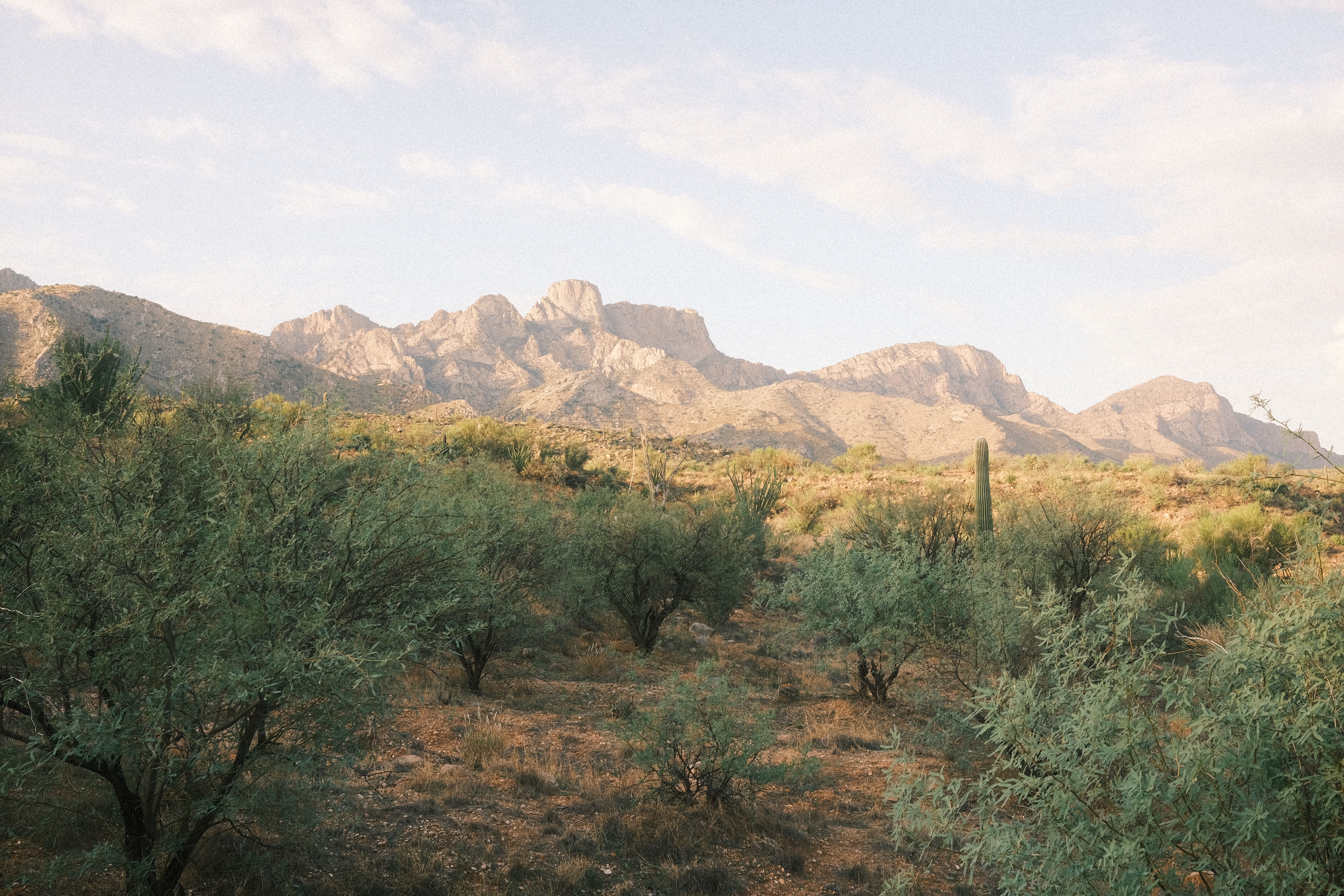 Arizona Background Photos, Download The BEST Free Arizona Background ...