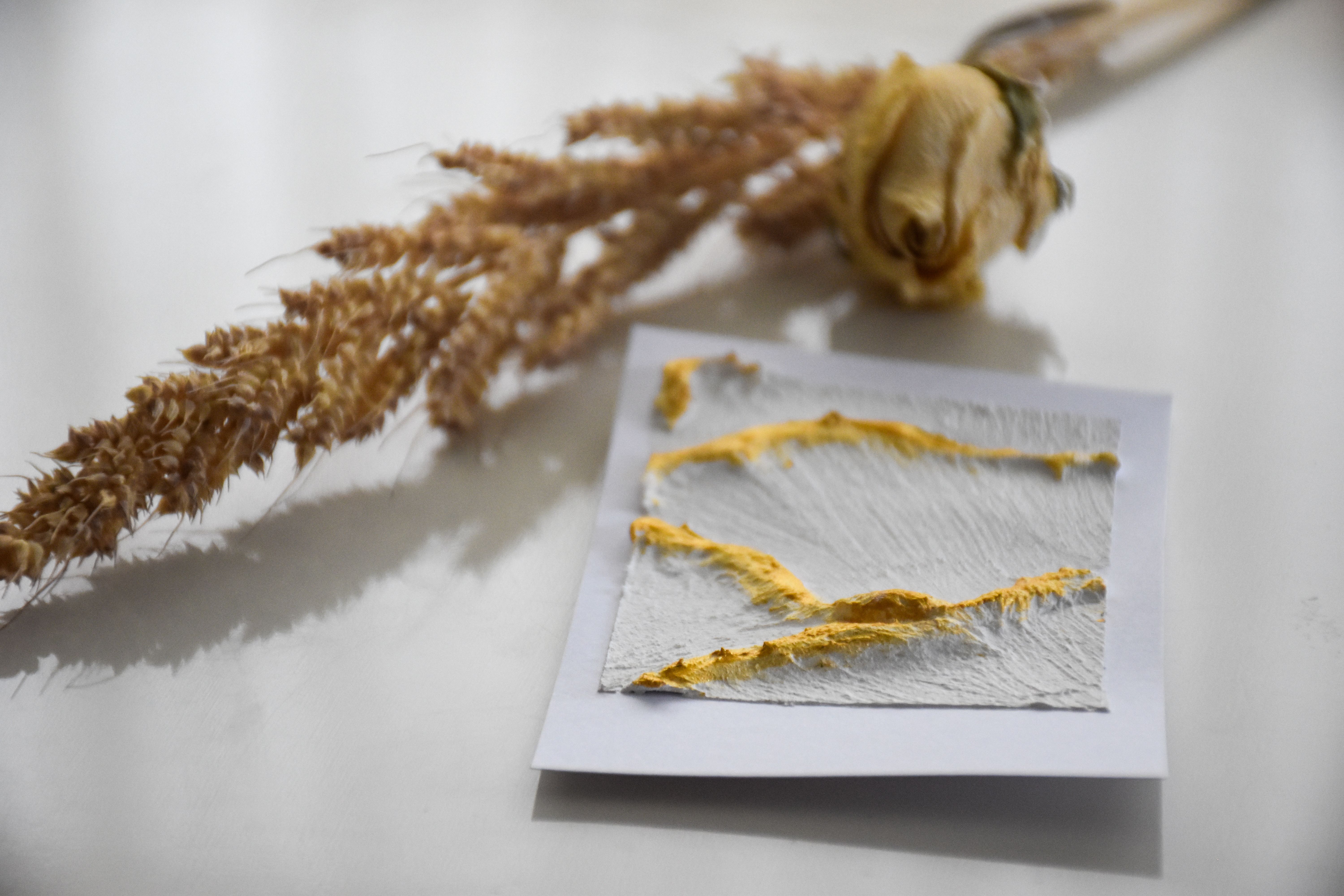 Kintsugi Art Photos, Download The BEST Free Kintsugi Art Stock Photos ...