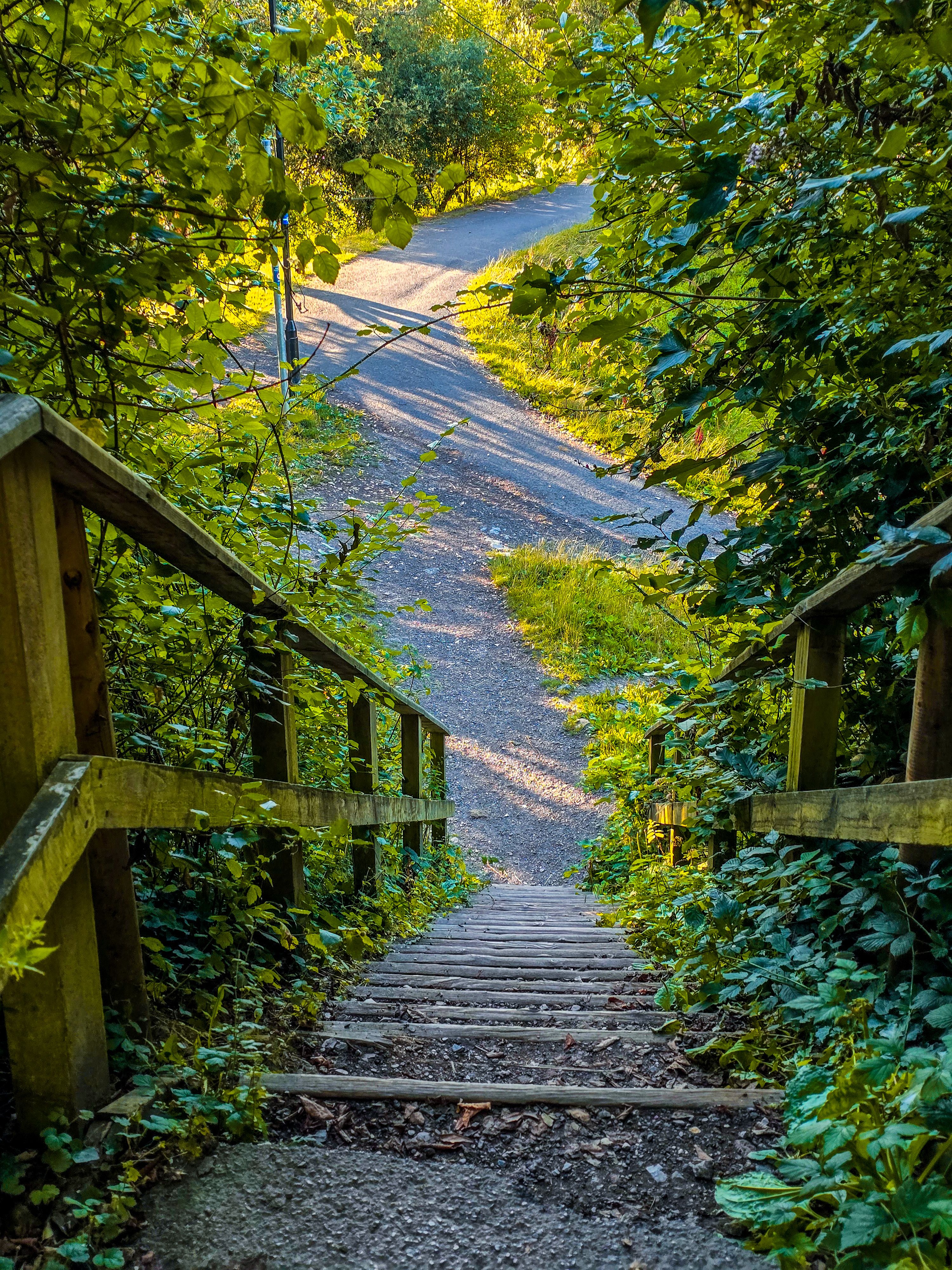 Sunny Pathway in a UK Woodland Setting · Free Stock Photo