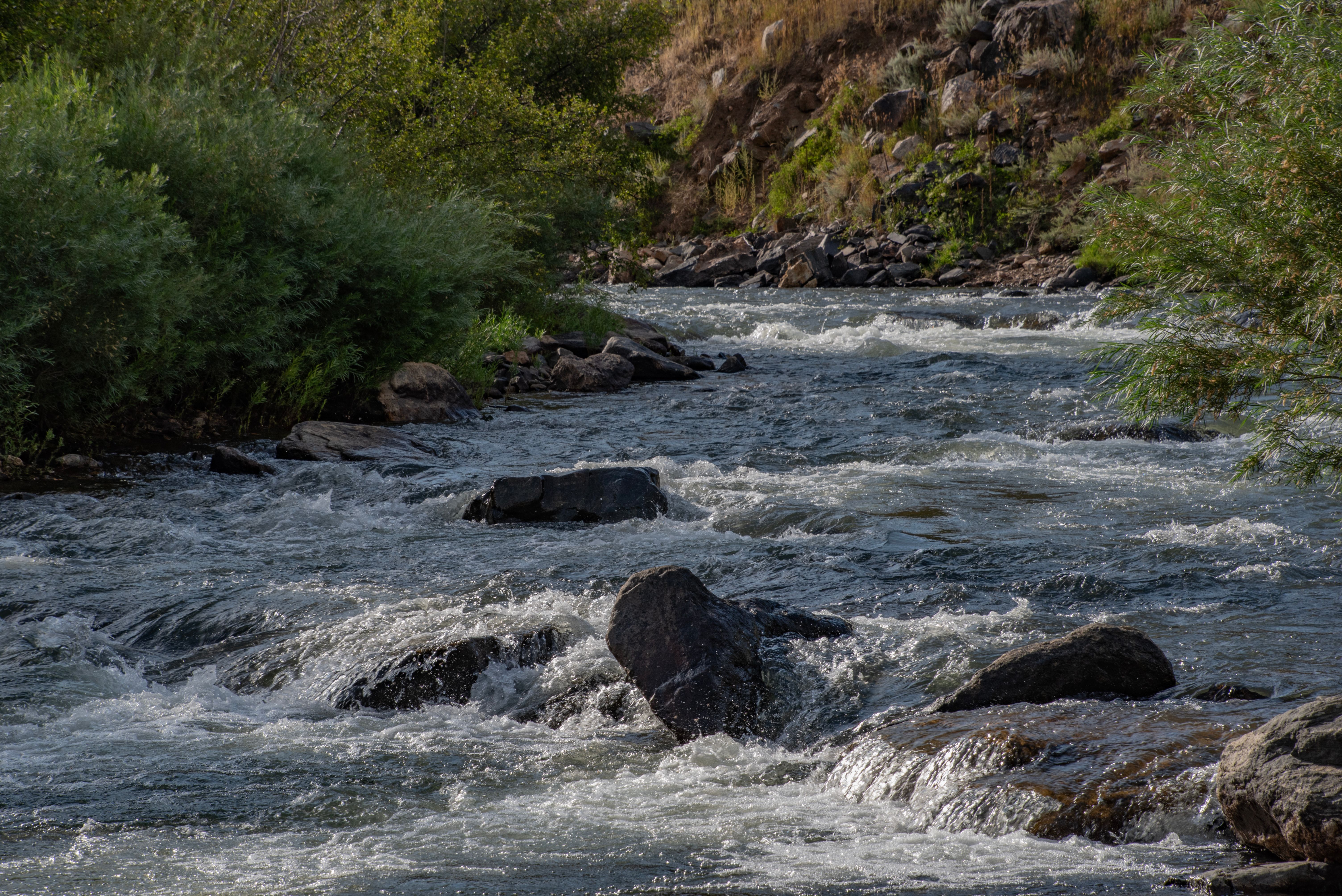 Serene River Landscape in Denver, Colorado · Free Stock Photo