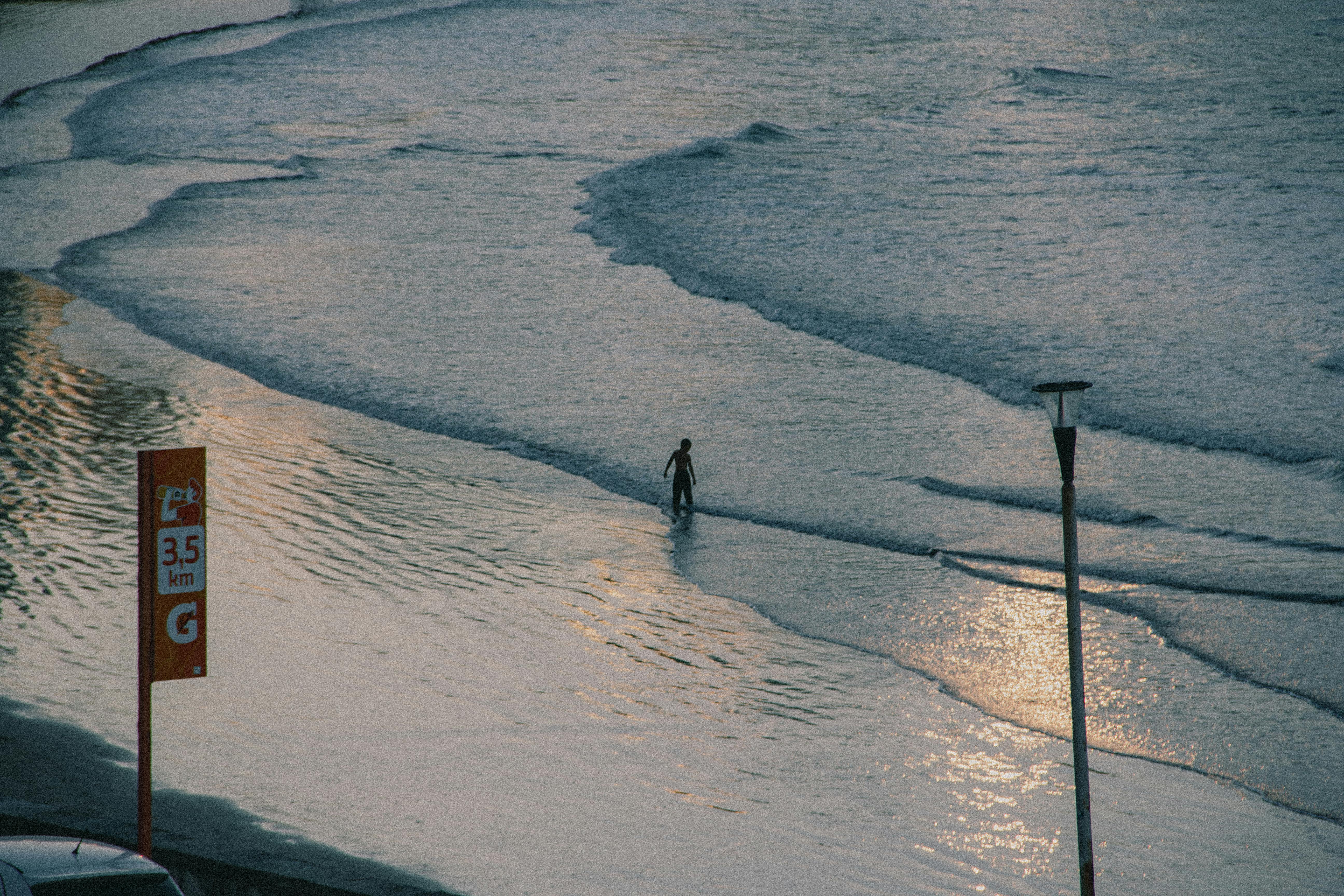 Human Poop Photos, Download The BEST Free Human Poop Stock Photos & HD ...