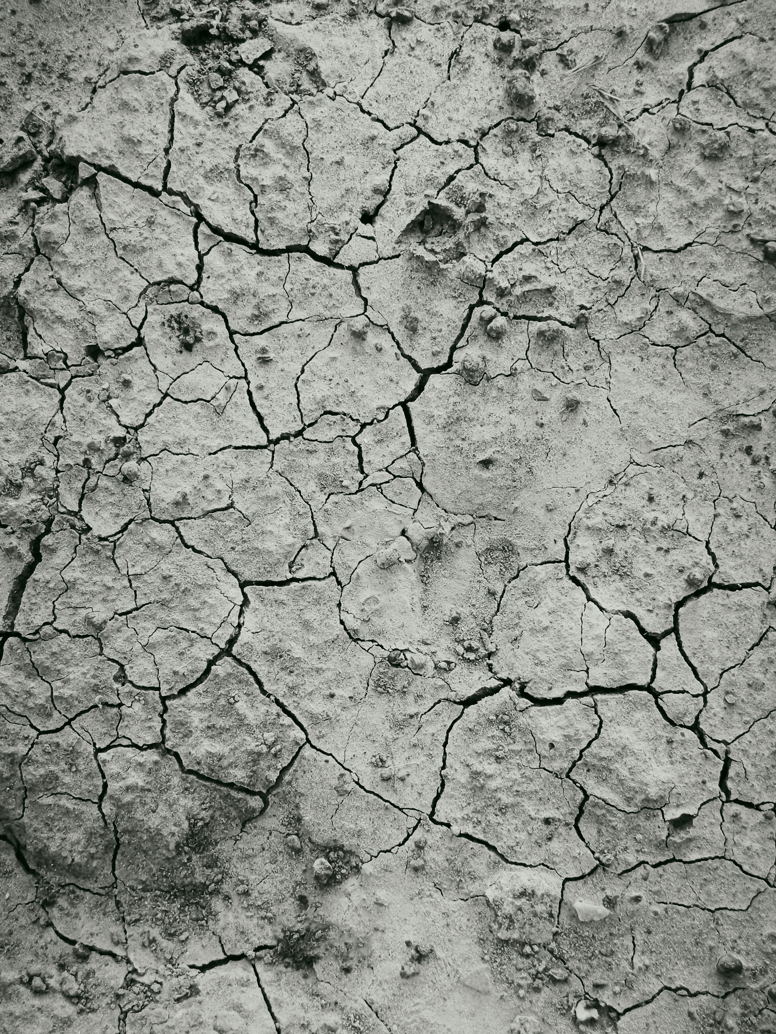 Scarcity Photos, Download The BEST Free Scarcity Stock Photos & HD Images