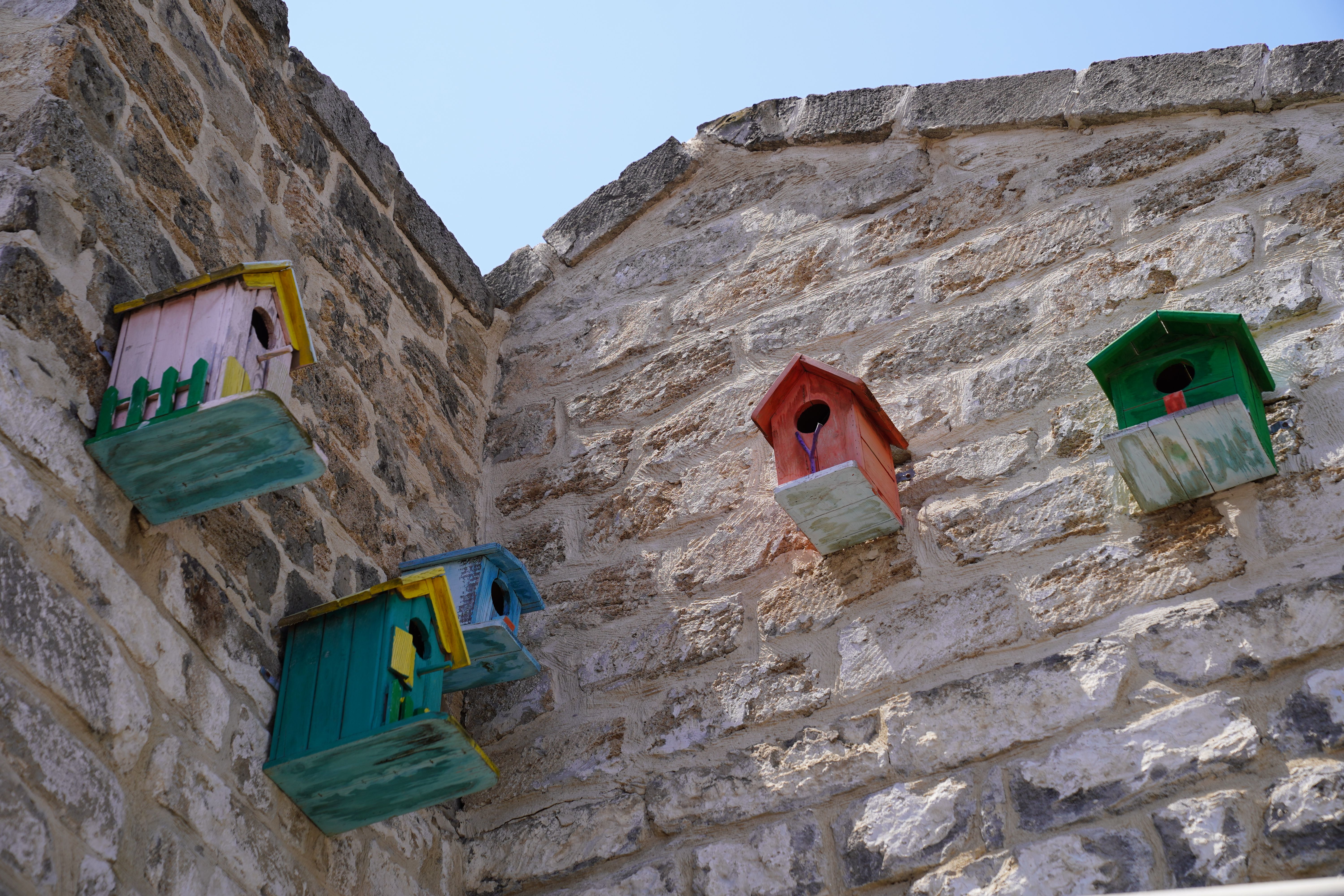 Wall Art Phptos Photos, Download The BEST Free Wall Art Phptos Stock ...