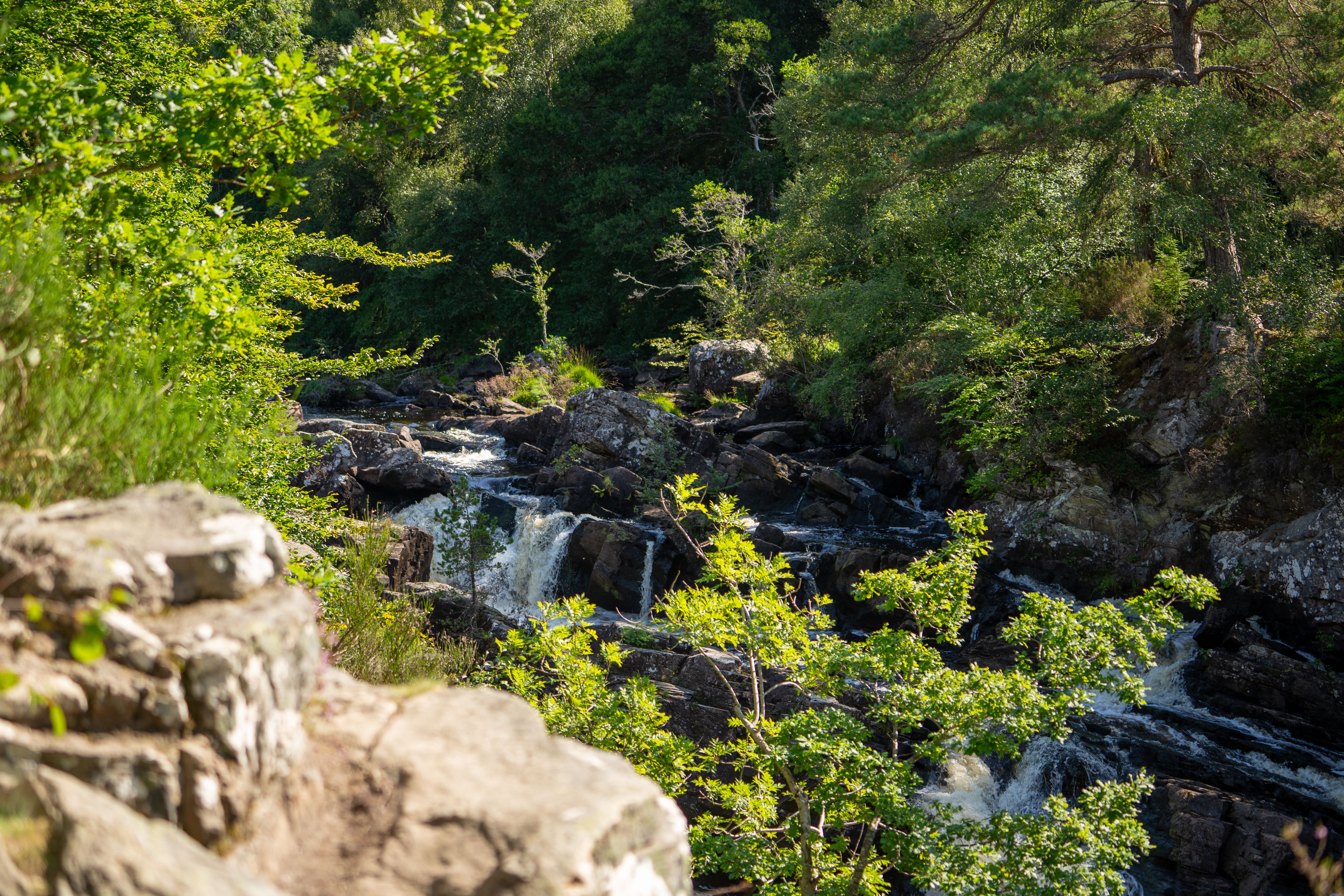 Scenic Waterfall in Scottish Forest · Free Stock Photo