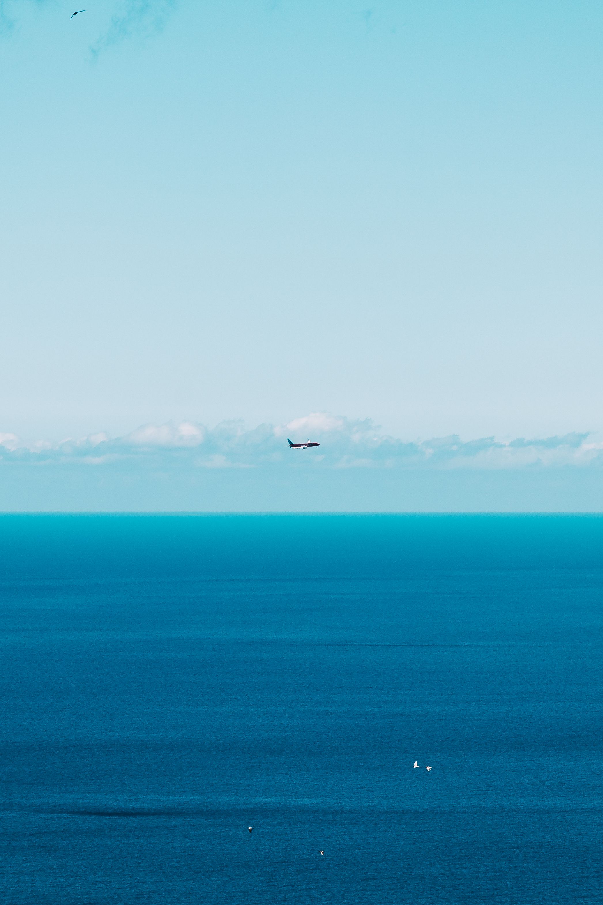 Free Airplane Stringers Photos, Download The BEST Free Free Airplane ...
