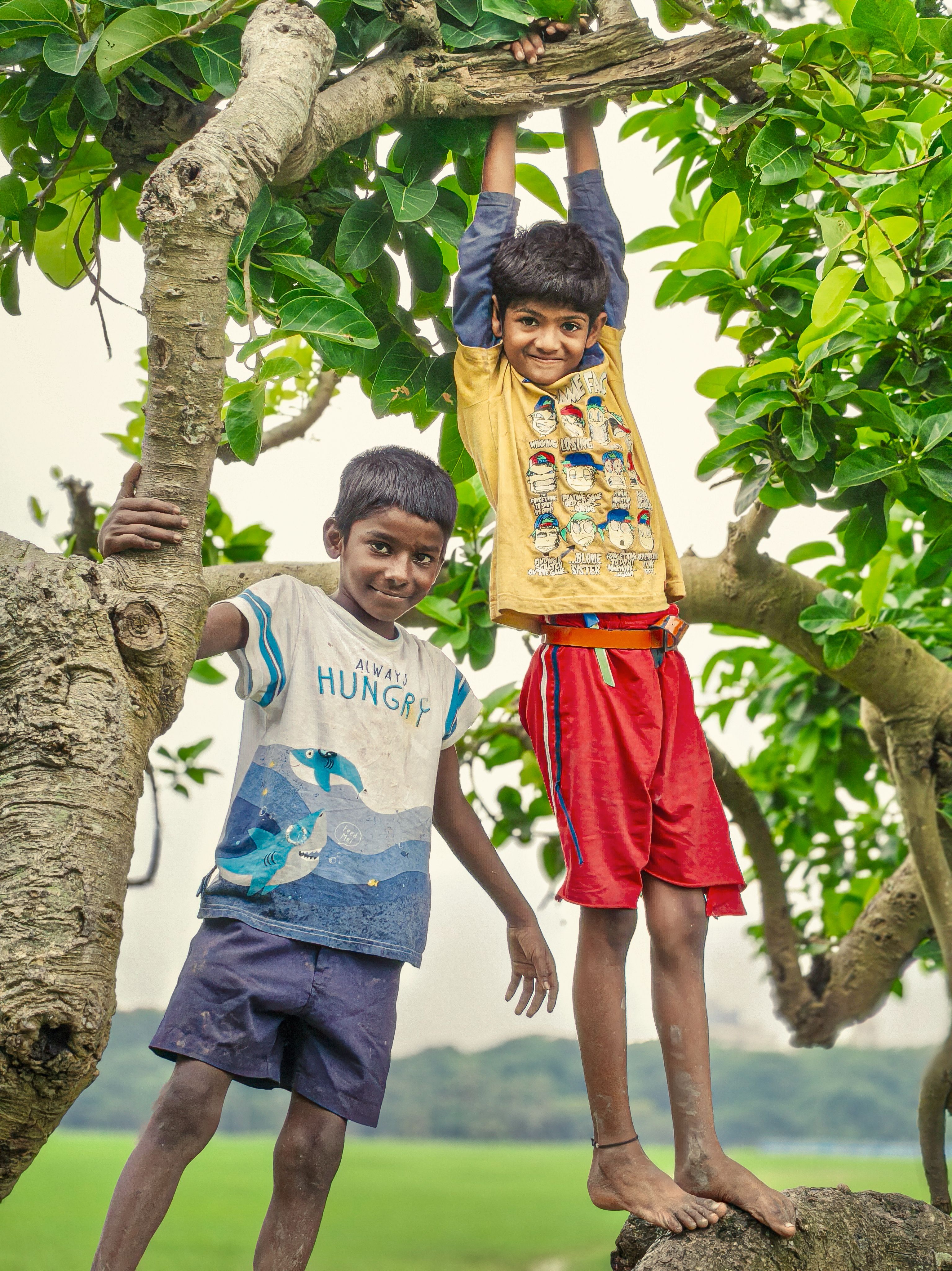 Two Kids Climbing a Tree in Rural India · Free Stock Photo
