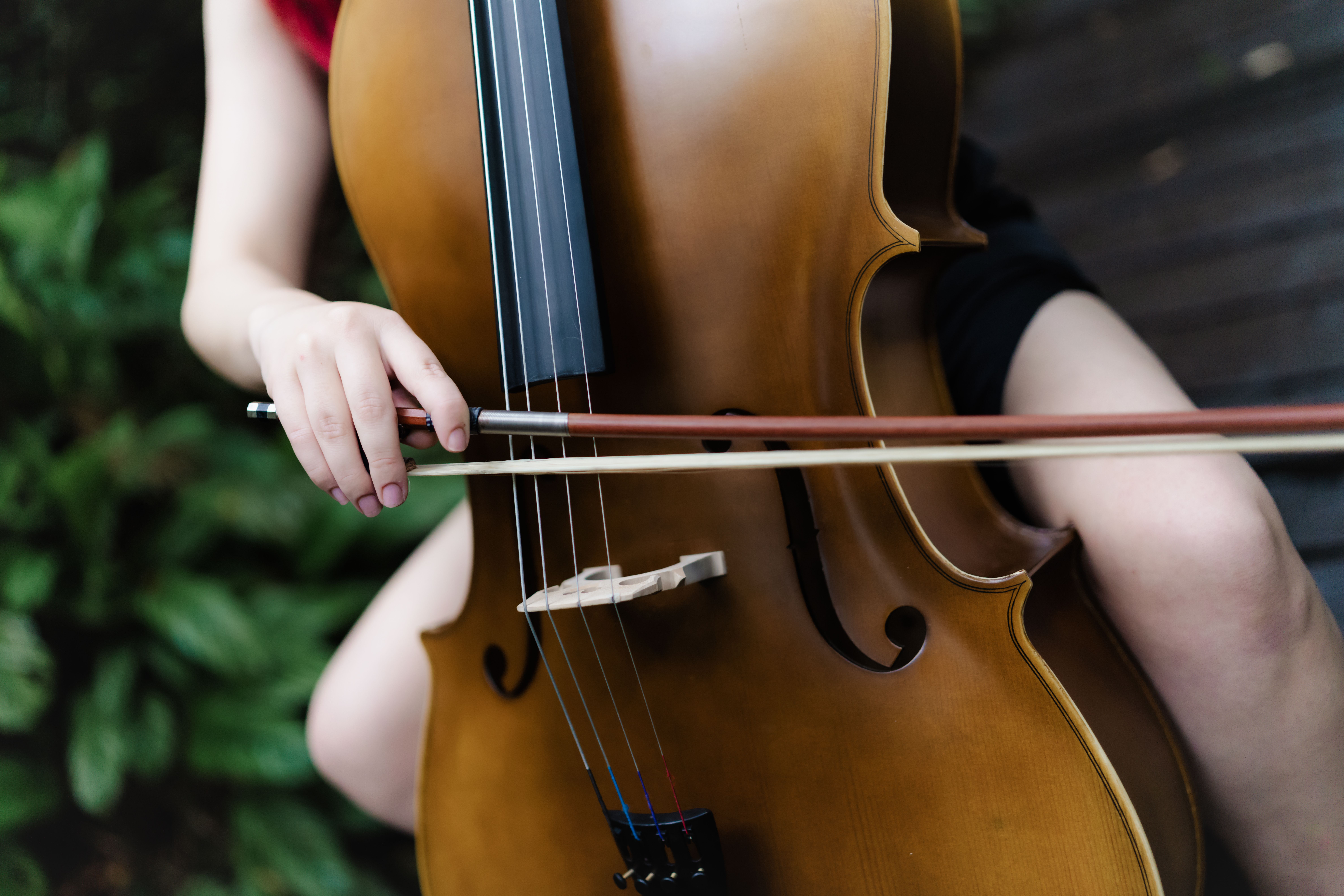 Person Playing Cello · Free Stock Photo