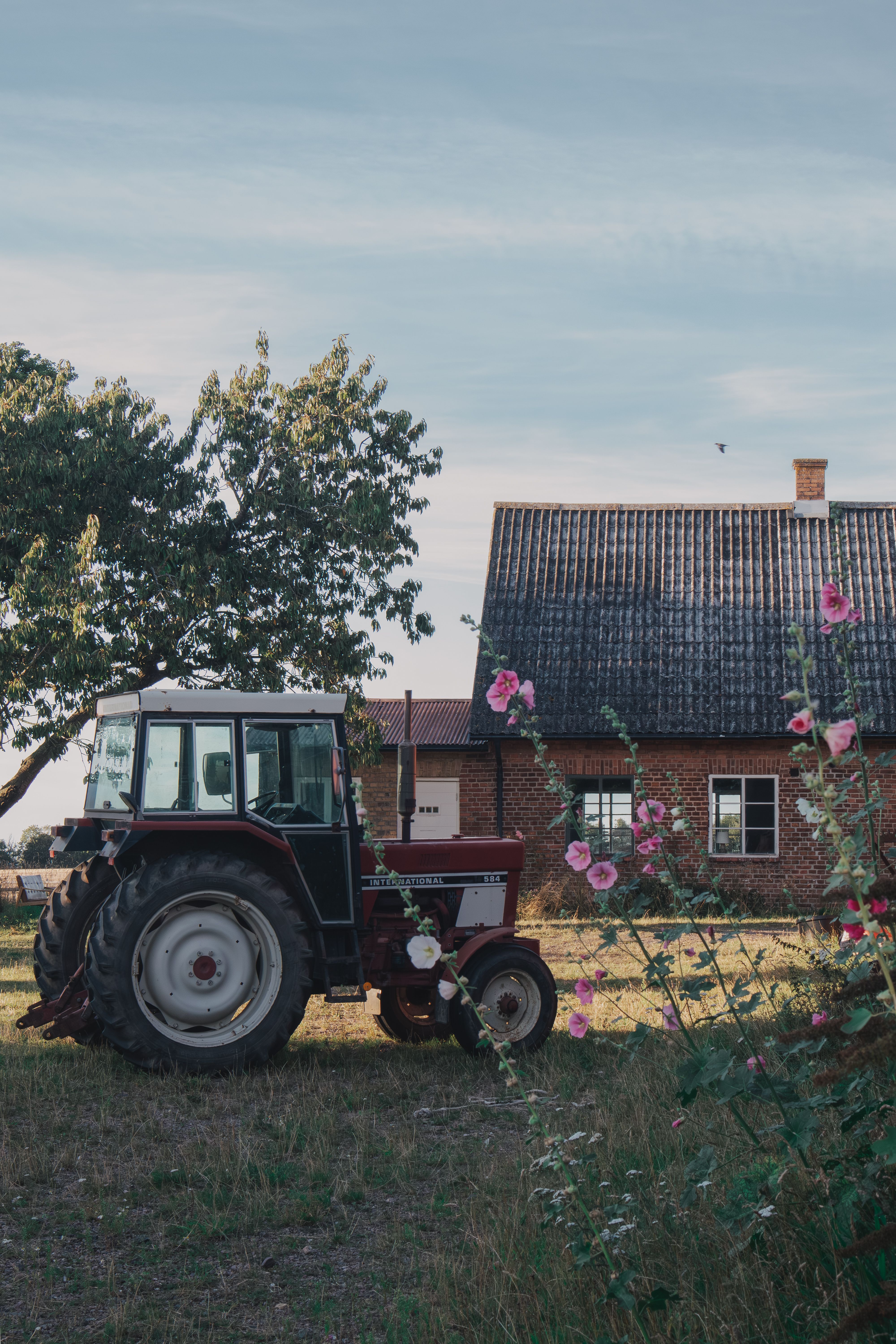 Farm Life Photos, Download The BEST Free Farm Life Stock Photos & HD Images