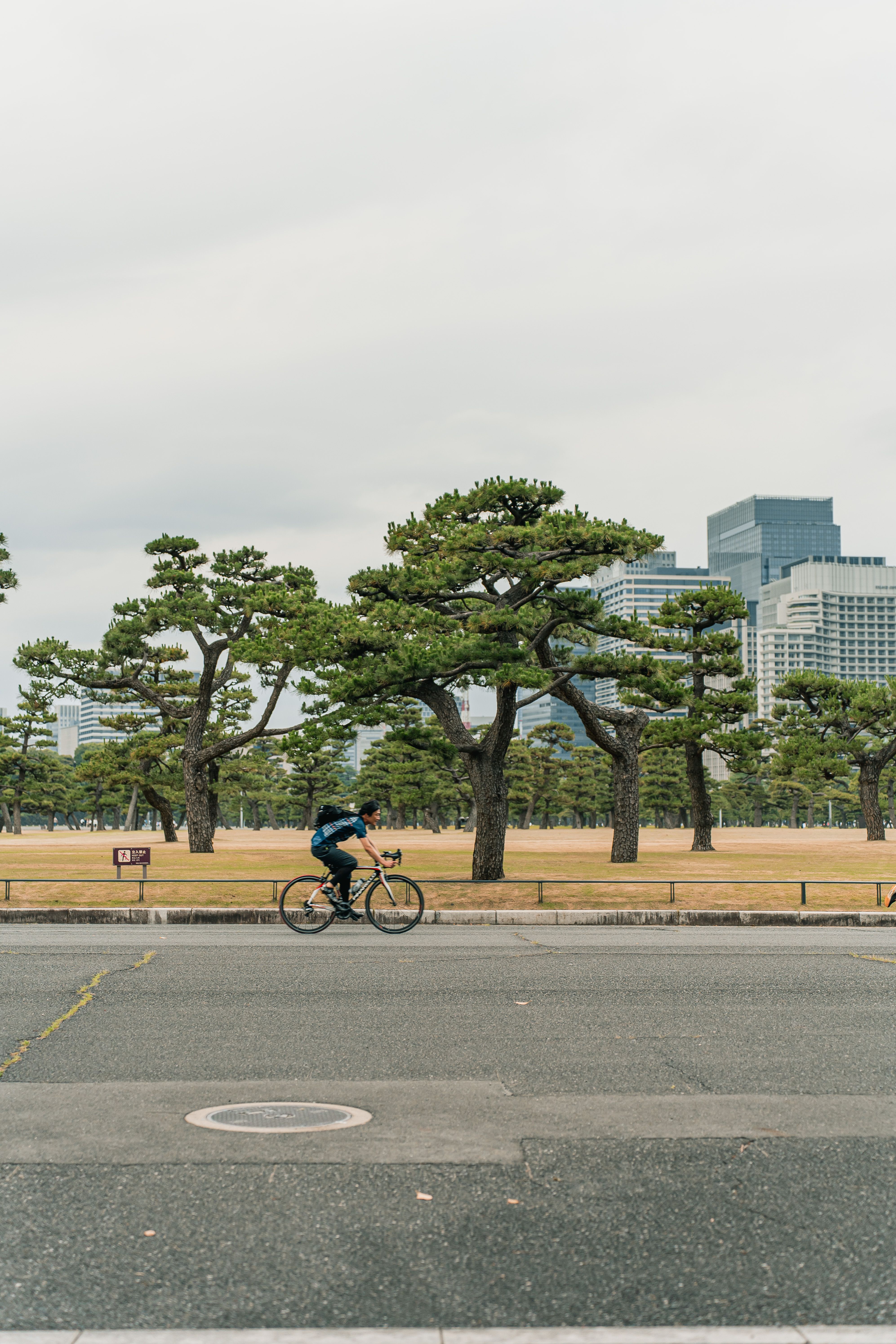 Cyclist in Tokyo Park with Urban Skyline · Free Stock Photo