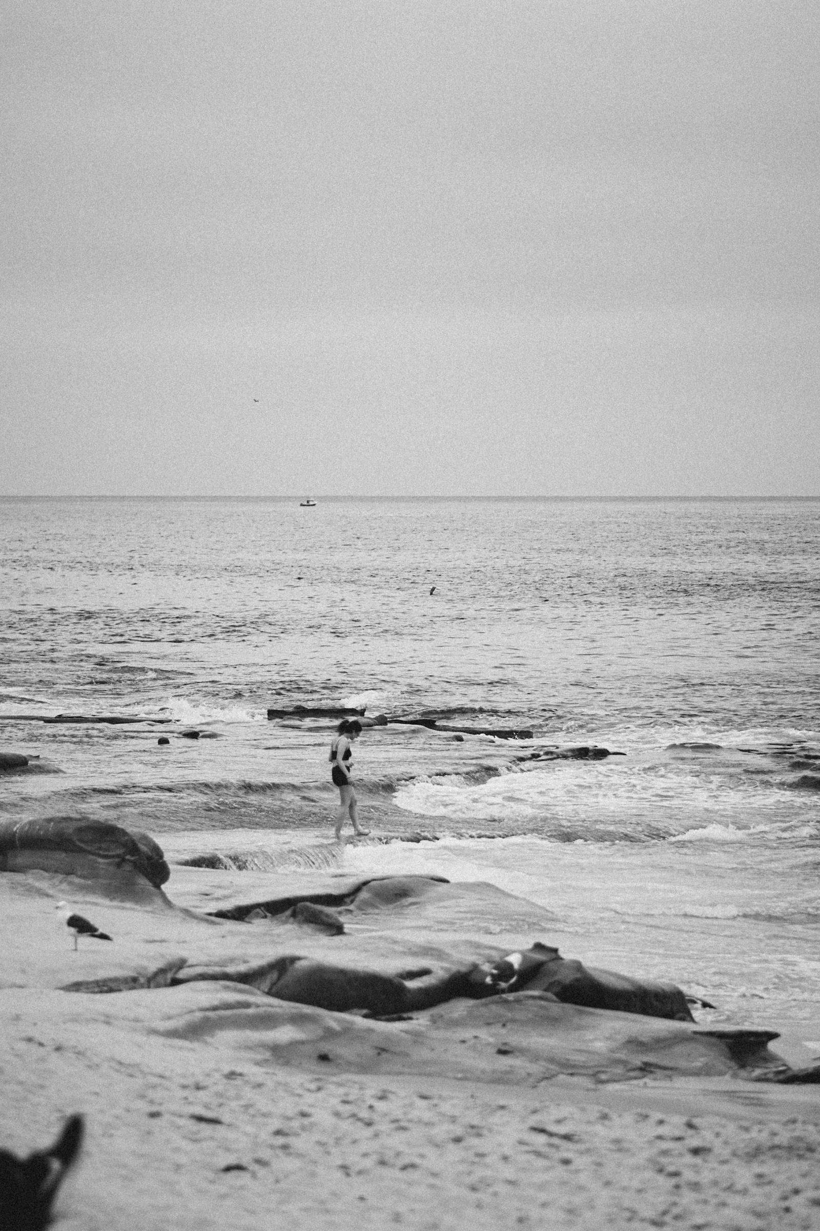 Pictures+Of+La+Boo+Boo Photos, Download The BEST Free Pictures+Of+La ...