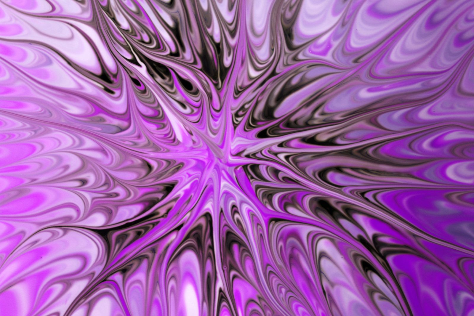 Purple Background Solid Colour Photos, Download The BEST Free Purple ...