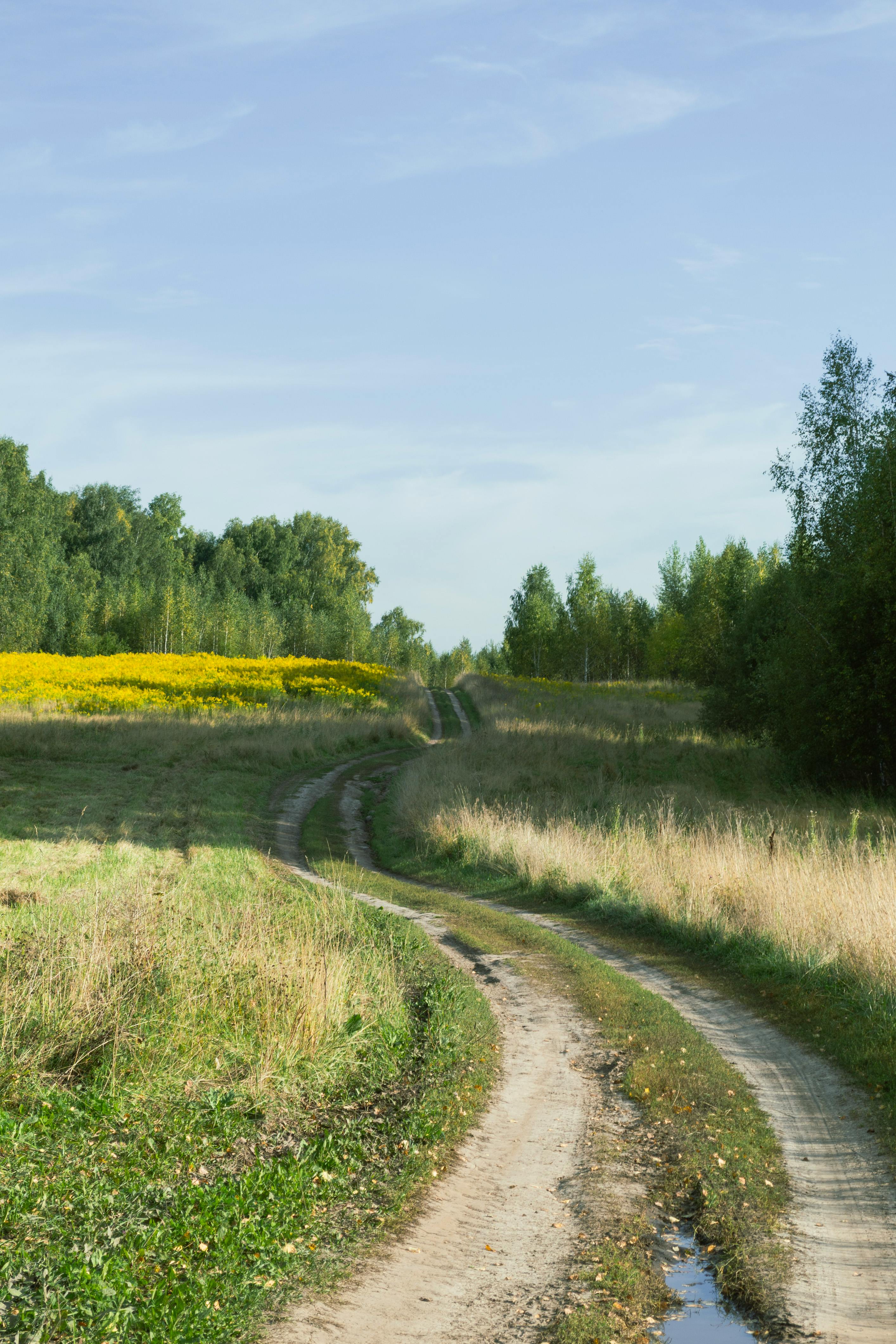 Create The Life You Want To Live Natural Photos, Download The BEST Free ...