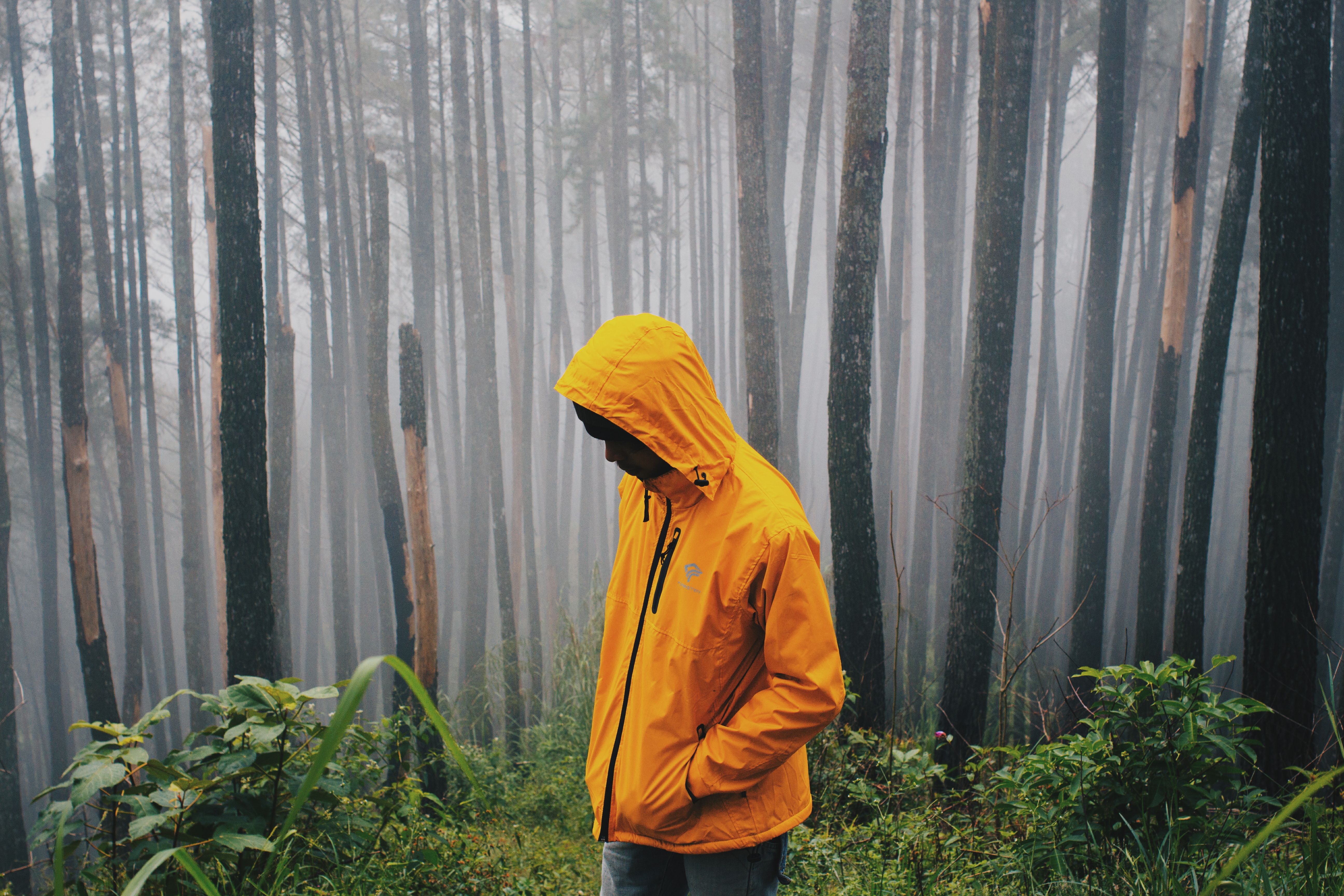 Photo of Person in Yellow Jacket Standing in Forest · Free Stock Photo