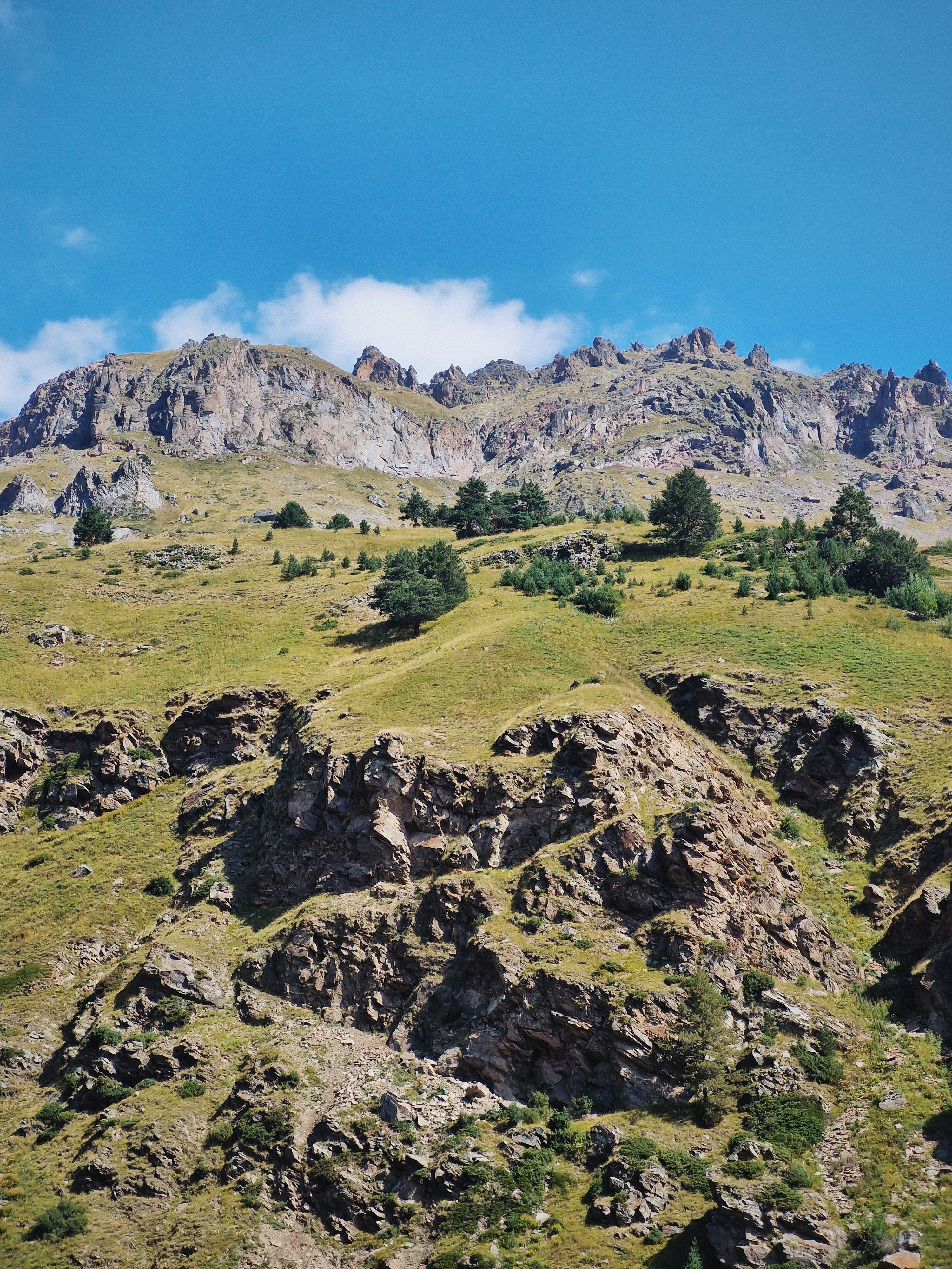 Rugged Mountain Landscape with Rocks and Trees · Free Stock Photo