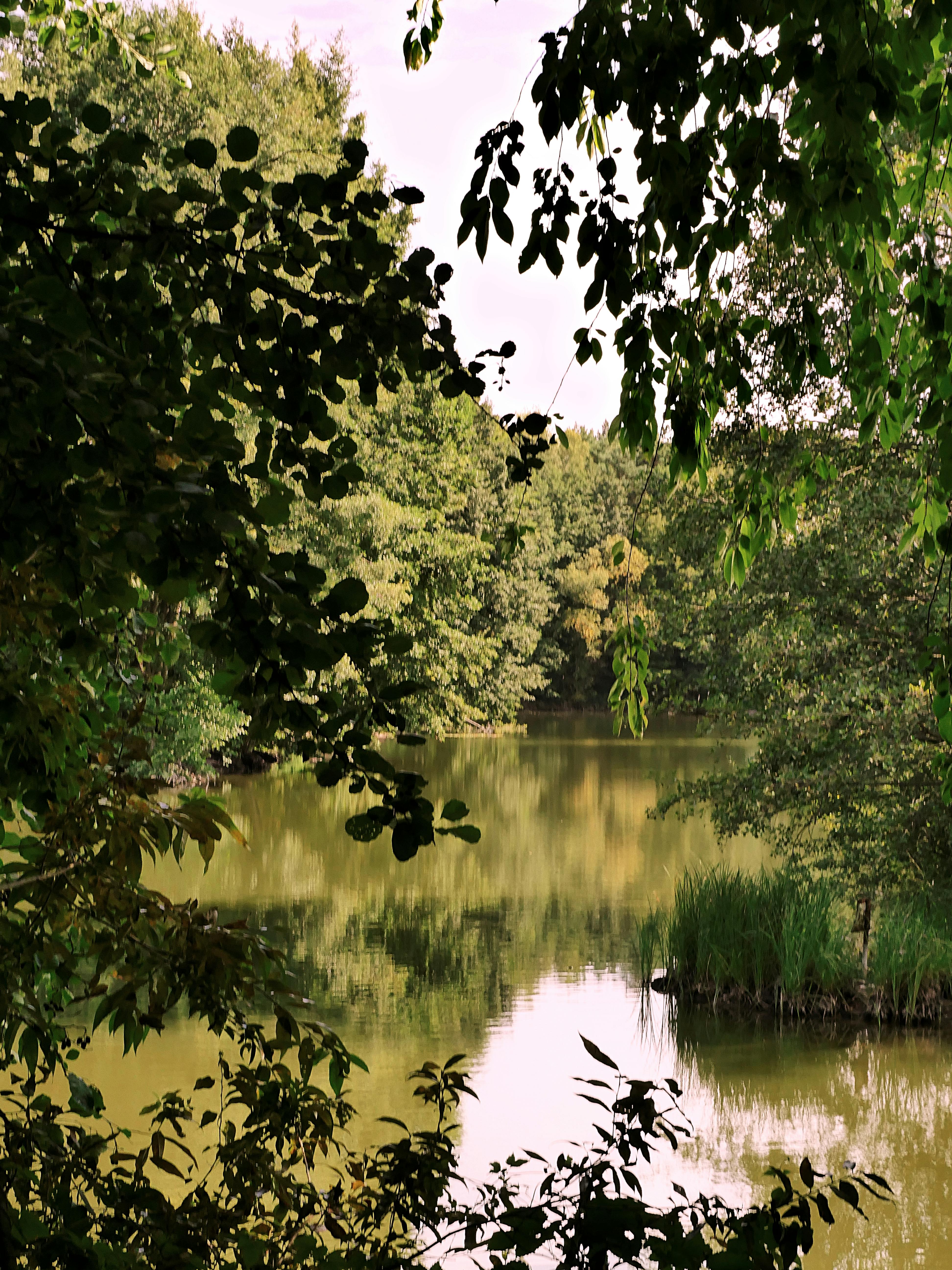 Natural Environment Photos, Download The BEST Free Natural Environment ...