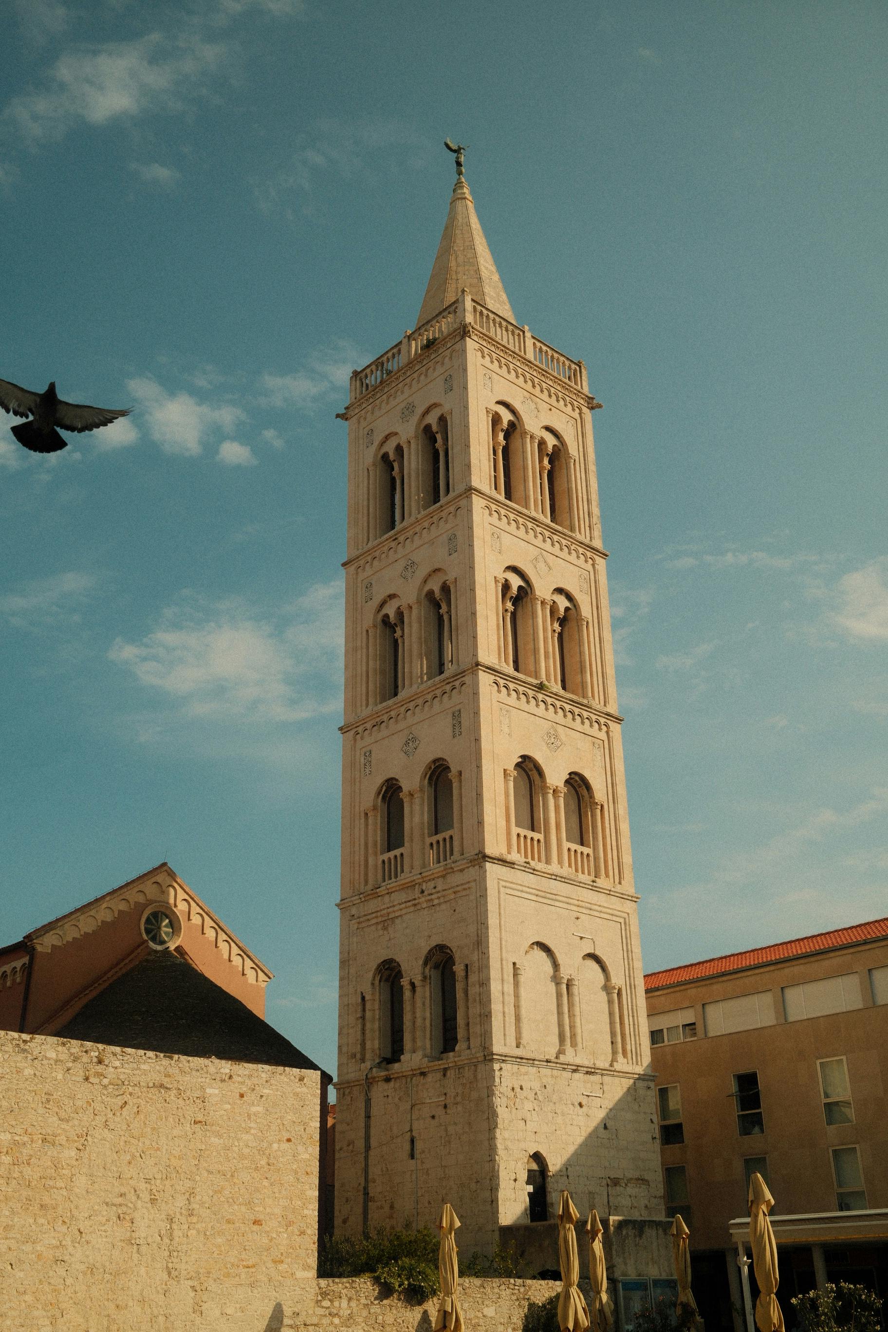 Tinker Bell Photos, Download The BEST Free Tinker Bell Stock Photos ...