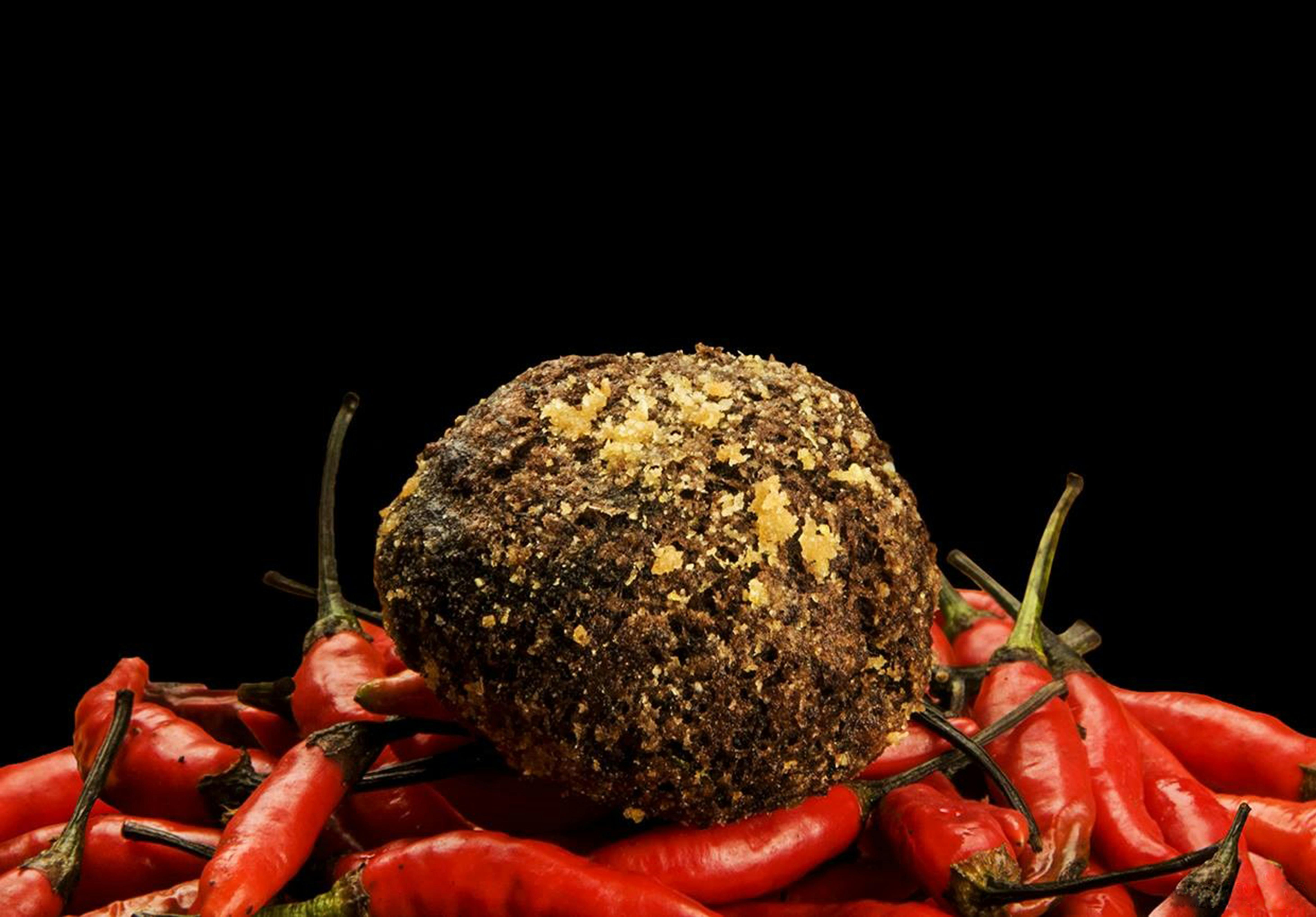 Selena Spice Photos, Download The BEST Free Selena Spice Stock Photos ...