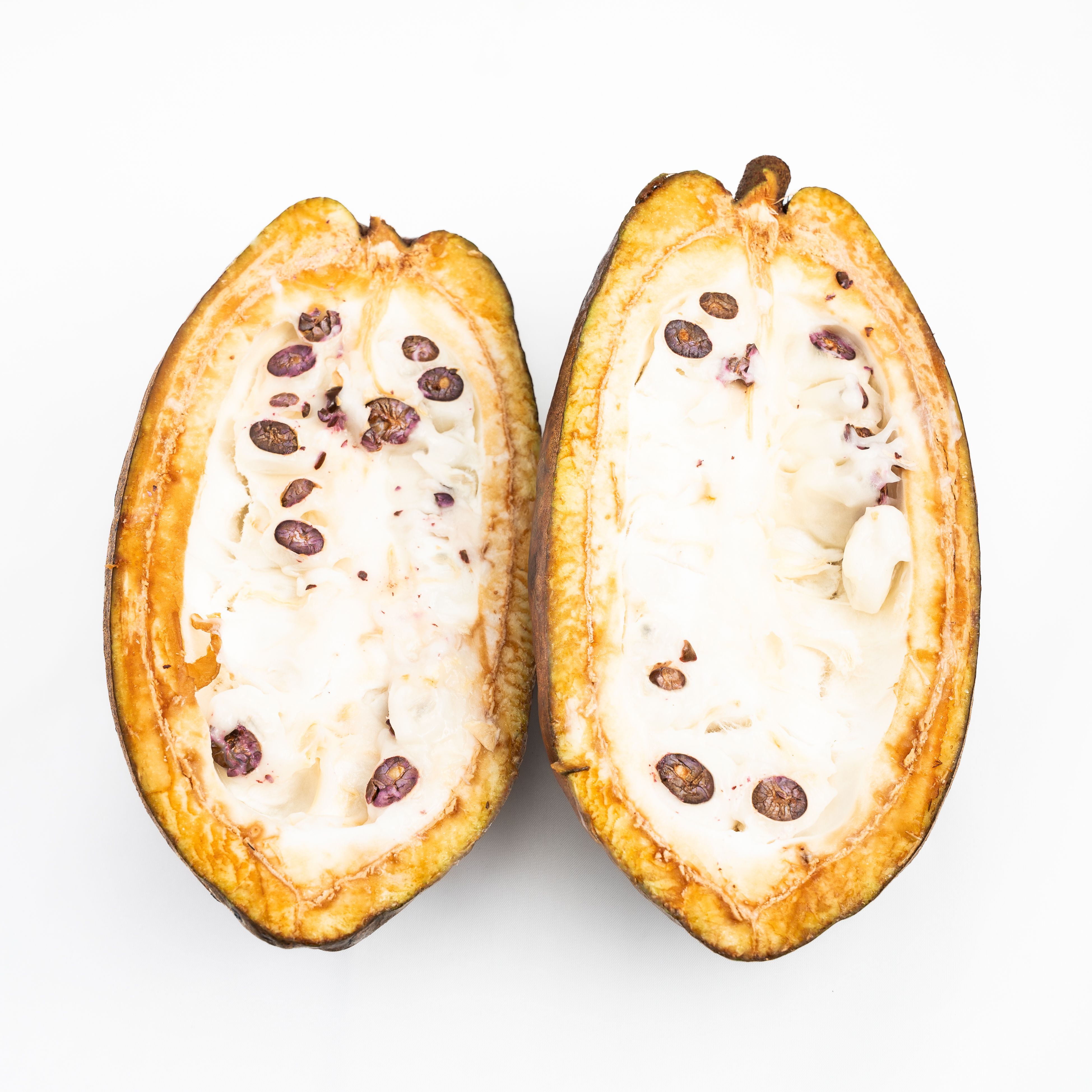 Prim Plan Cu Fructe și Semințe De Cacao Coapte · Imagine de stoc gratuită