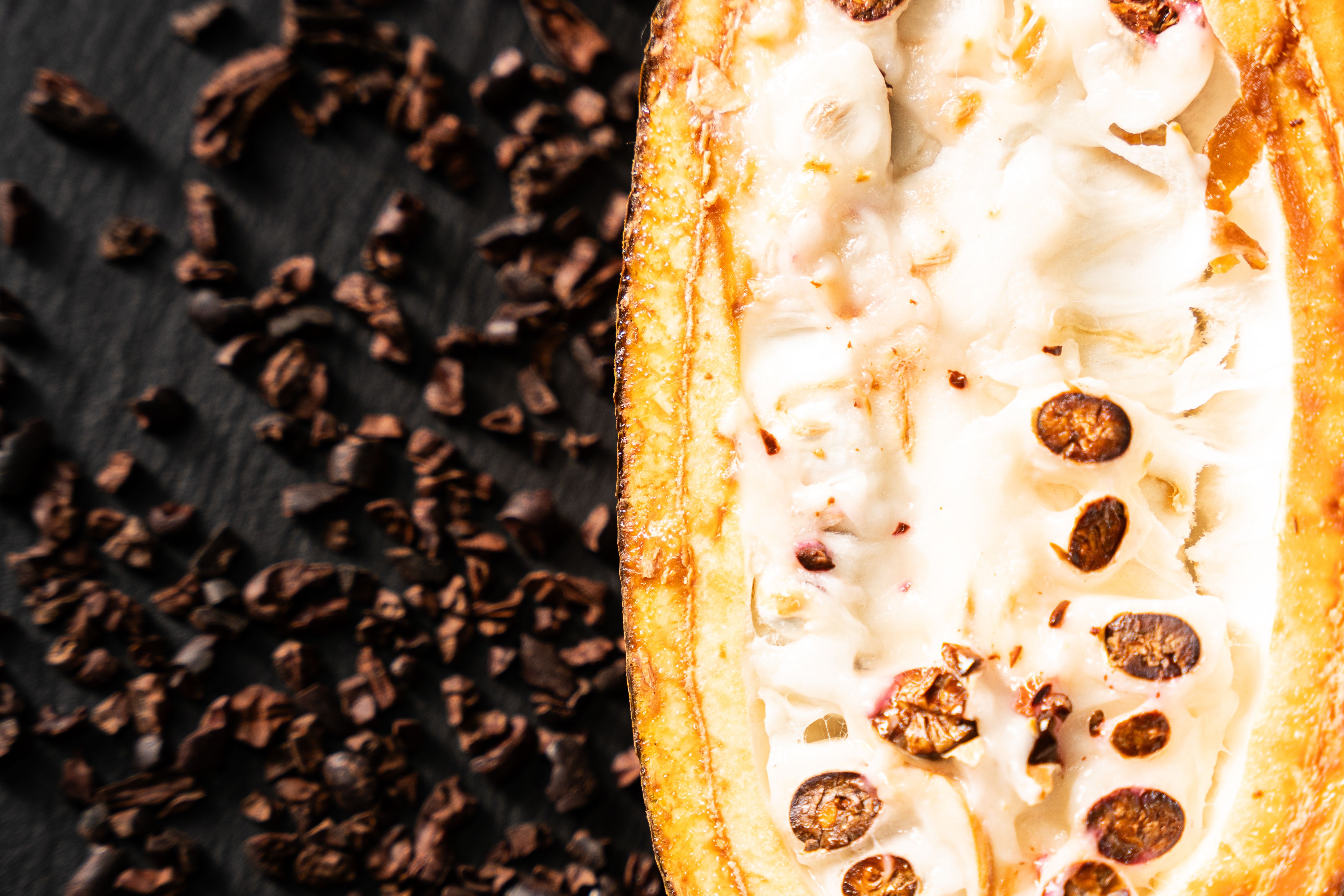 Close-Up of Cacao Pod with Cocoa Beans · Free Stock Photo